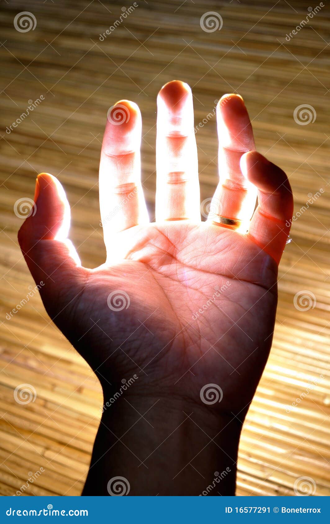 Human Hand stock image. Image of hand, body, people, touch - 16577291