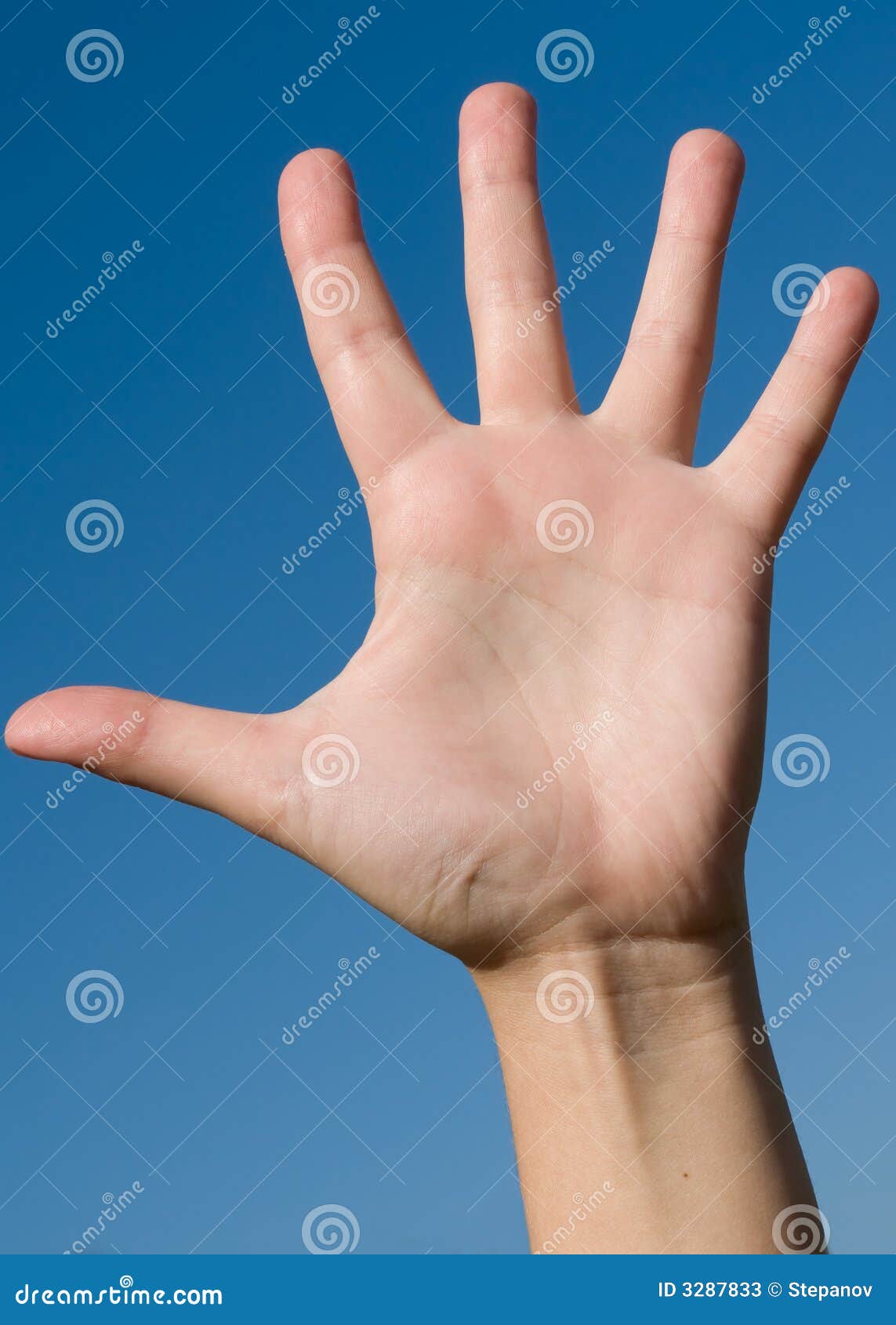 Human hand stock image. Image of white, skin, palm, caucasian - 3287833
