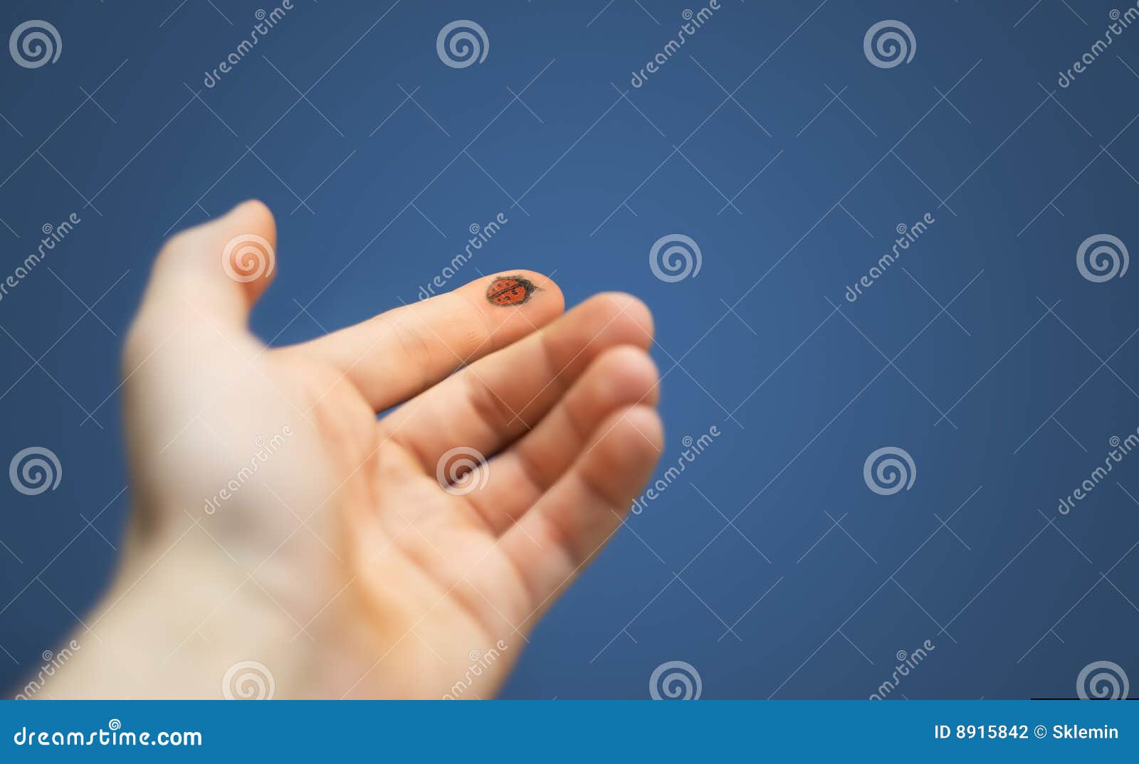 Human Hand stock photo. Image of anatomy, fingers, gesture - 8915842