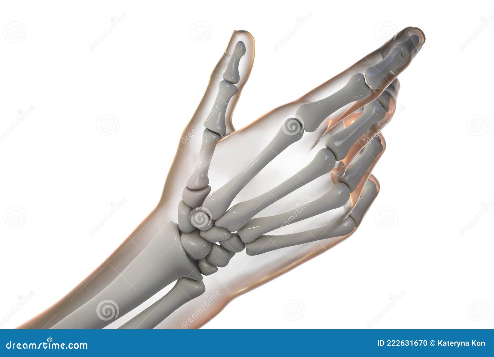 Human Hand and Arm Skeleton Stock Illustration - Illustration of ...