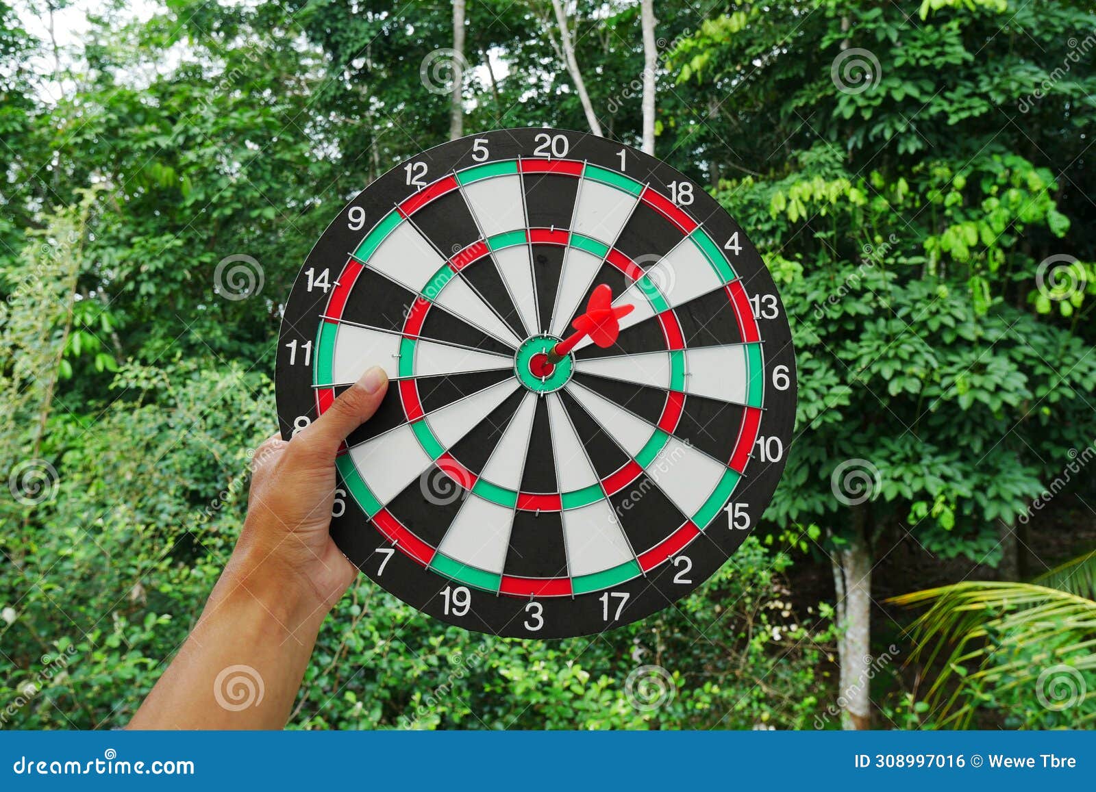 The Human Hand and Arrow Hit the Center of the Target Board. Stock ...