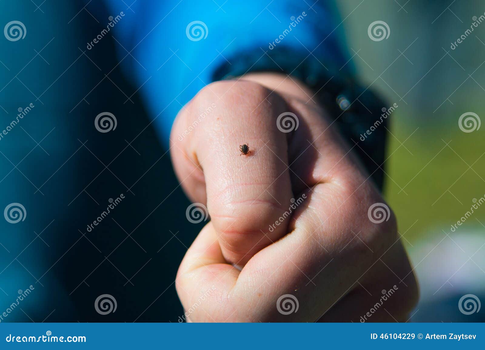Hand With Tick Sign Royalty-Free Stock Image | CartoonDealer.com #13029250