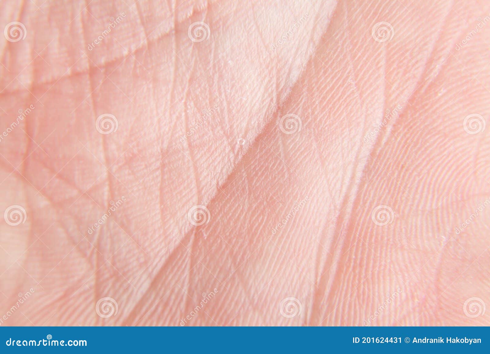 Human hand. Body stock image. Image of textured, background - 201624431
