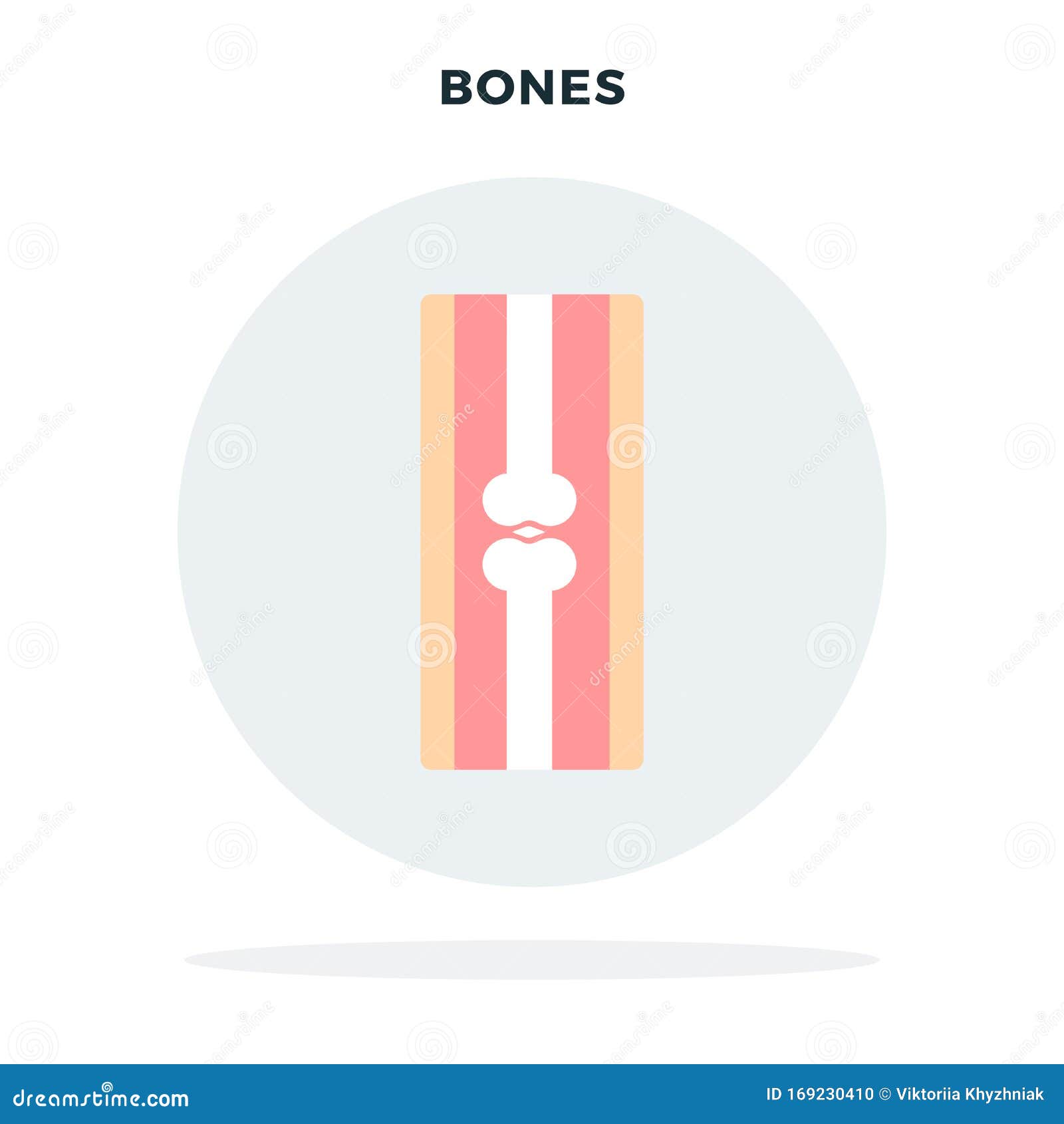 Human Hand Bones in a Gray Circle Vector Flat Isolated Stock Vector ...