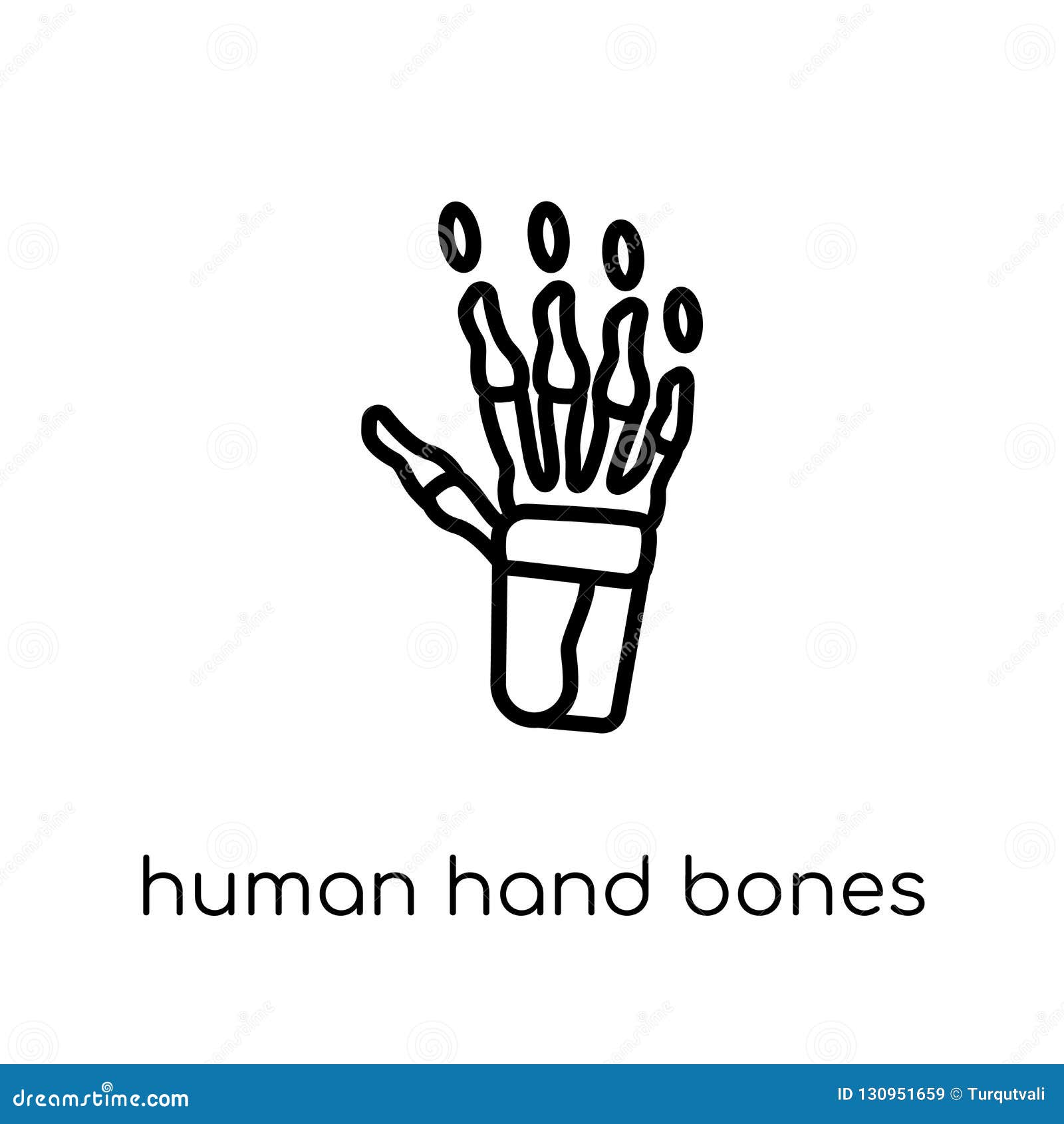 Human Hand Bones Icon. Trendy Modern Flat Linear Vector Human Ha Stock ...
