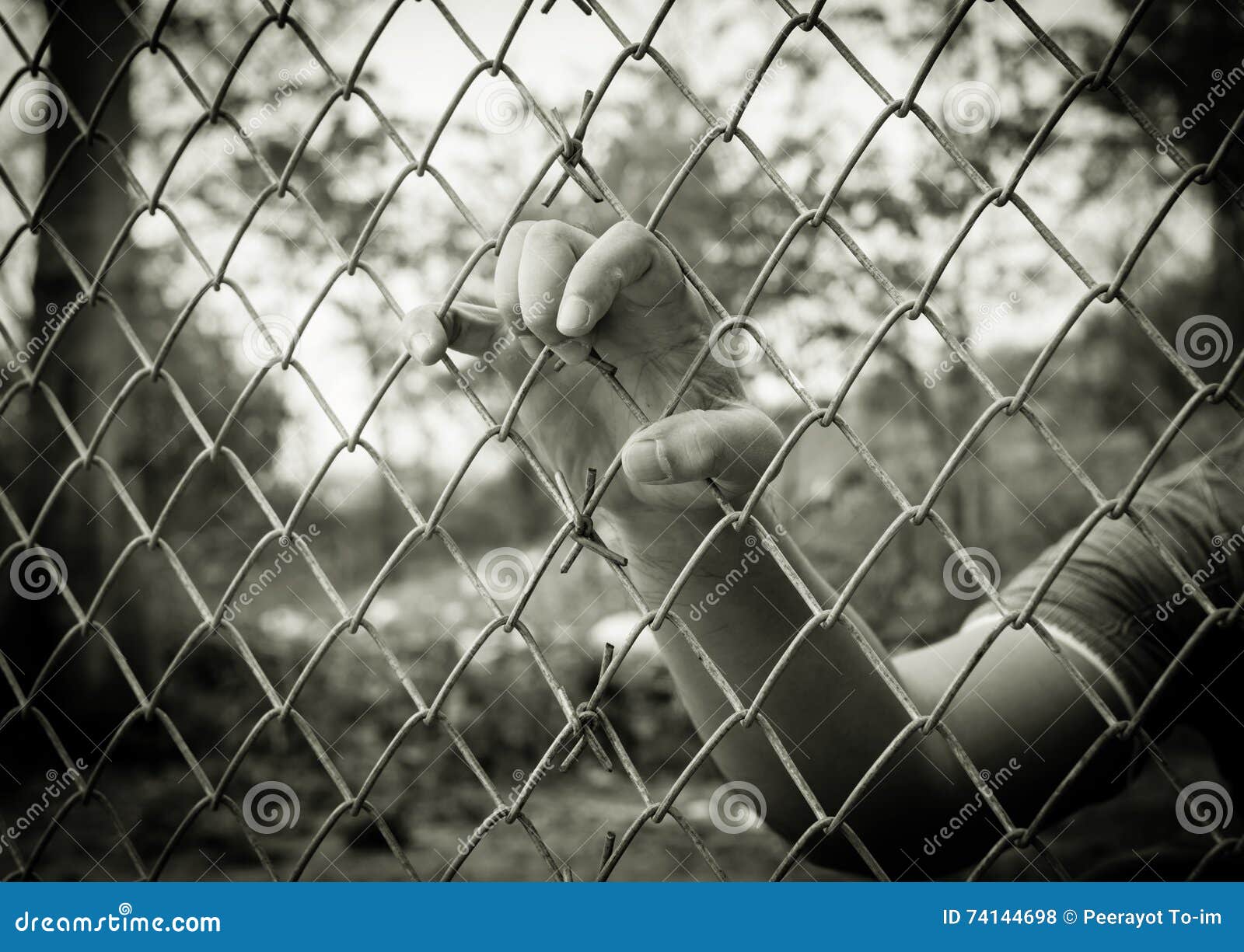 Human hand in the cage, stock photo. Image of border - 74144698