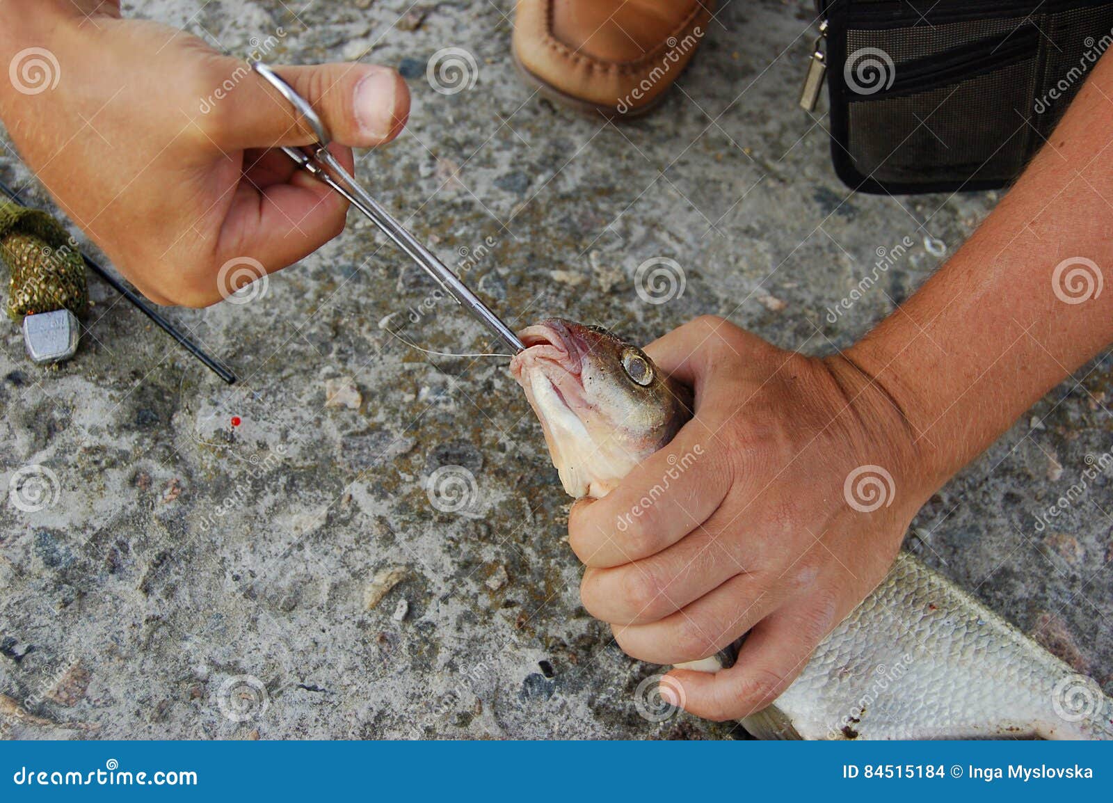 Human hand carve a fish stock photo. Image of meat, people - 84515184