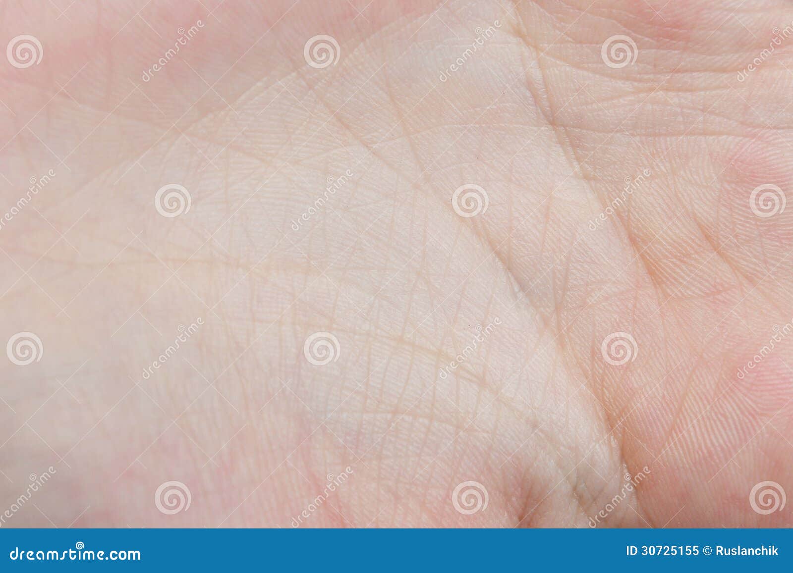Human hand stock image. Image of meat, dermatology, cells - 30725155
