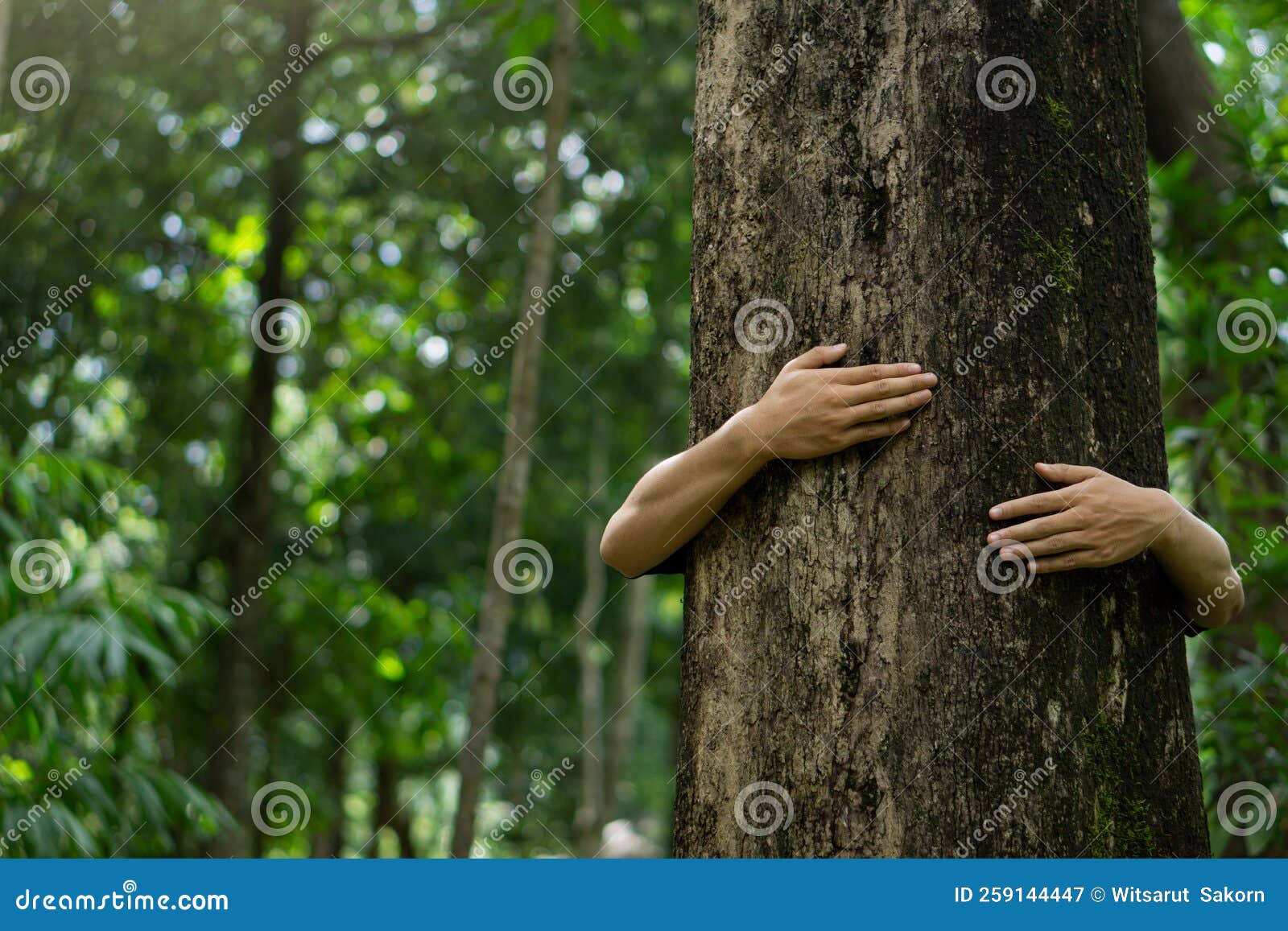 Human Hand Give Hug To Tree in Forest.Concept of Global Problem of ...