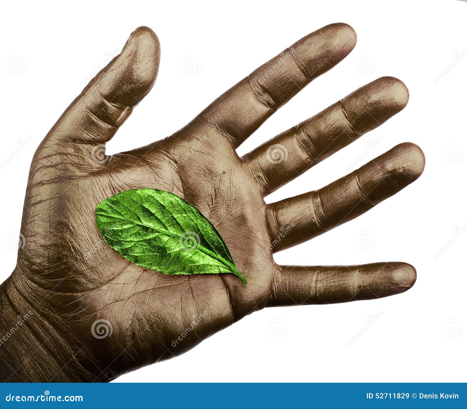 Human Hand with Green Leaf Isolated on White Background Stock Image ...
