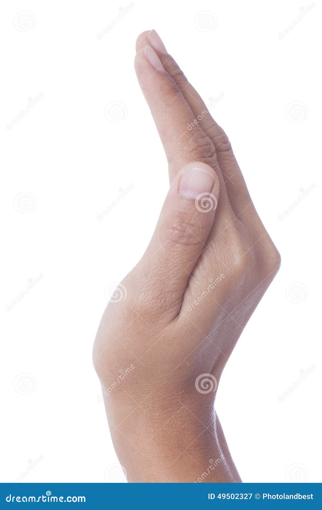 Human hand held up stock image. Image of palm, healthy - 49502327