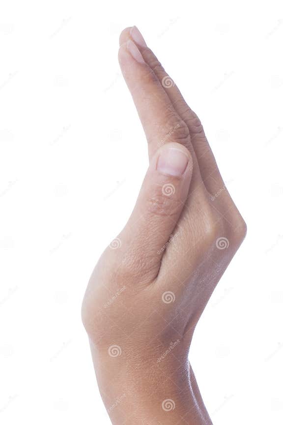 Human hand held up stock image. Image of palm, healthy - 49502327