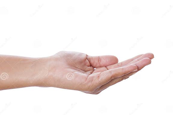 Human hand held up stock photo. Image of care, idea, concept - 49504164