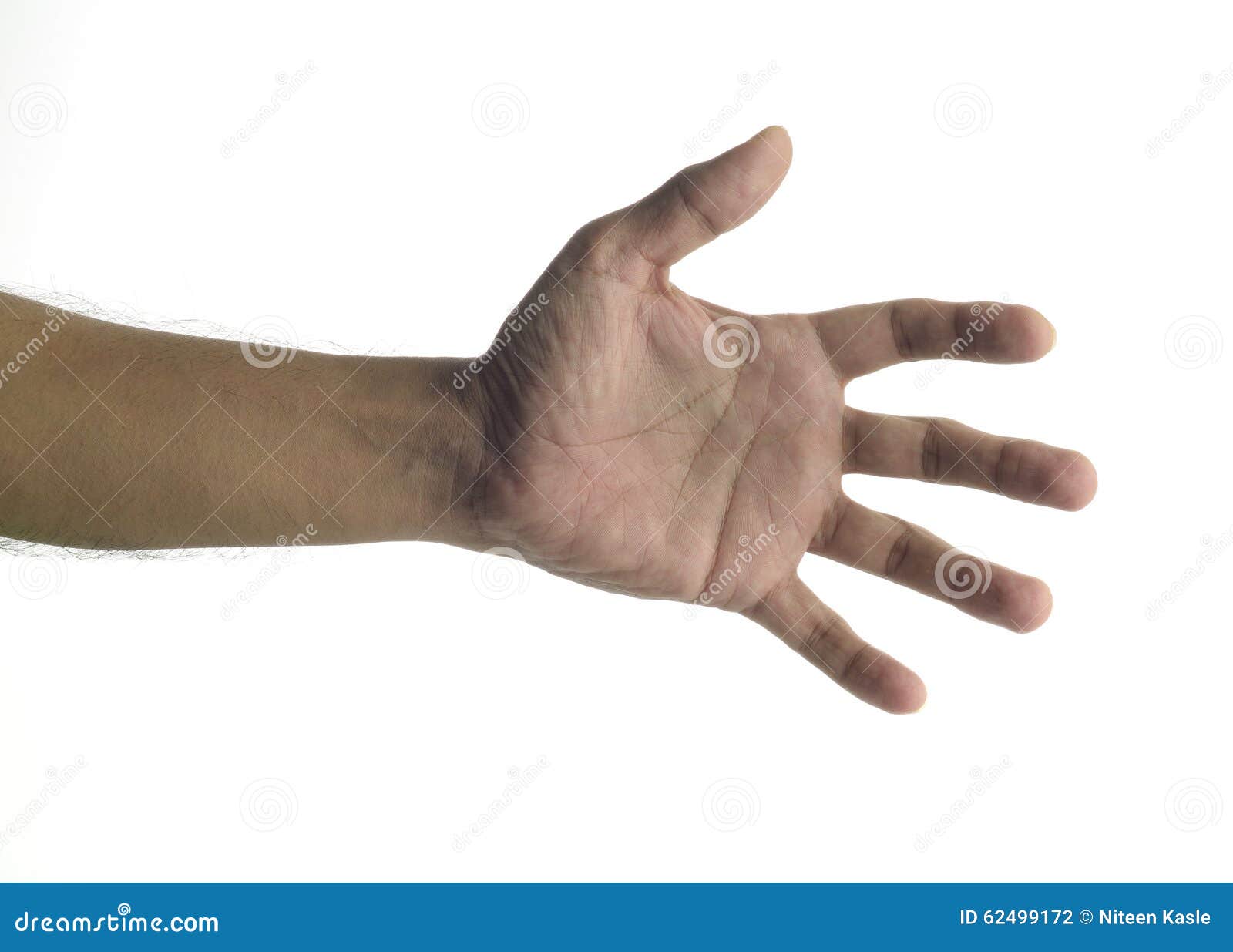 Human Hand stock photo. Image of male, shot, hand, studio - 62499172