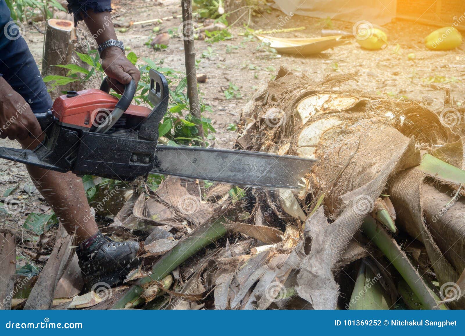 Human Hand Hold Sawing Machine Cutting Tree. Stock Photo - Image of ...