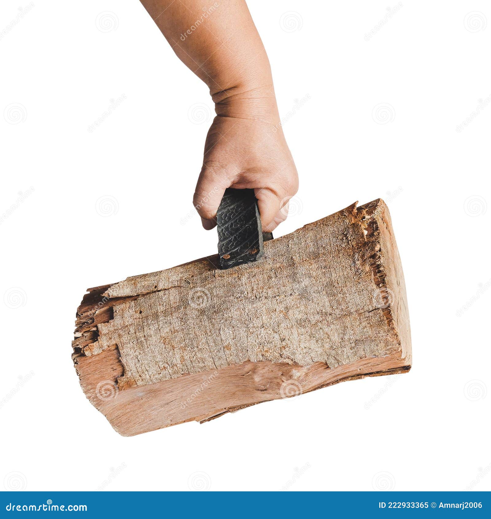 Human Hand Hold a Wood Stump or Timber Wood on White Stock Image ...