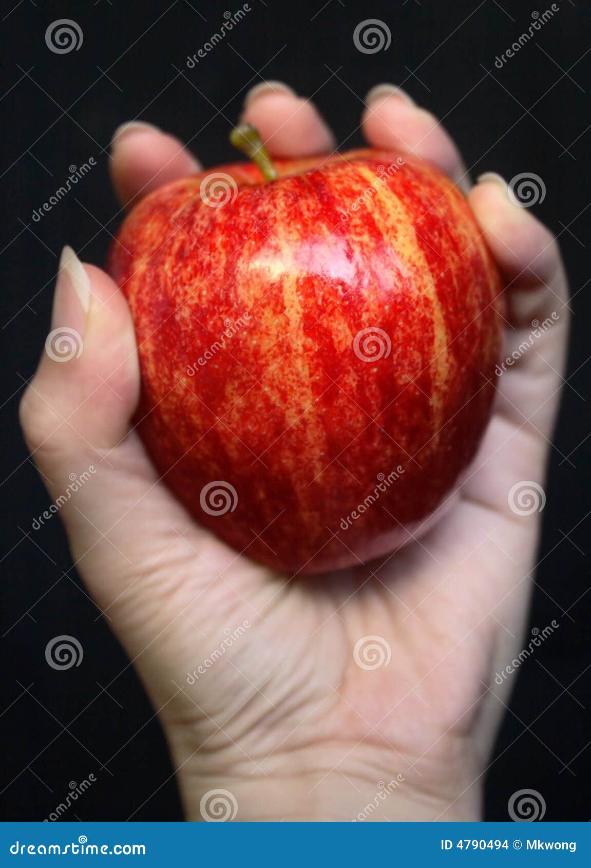 Human Hand Holding an Apple Stock Photo - Image of fiber, fruit: 4790494