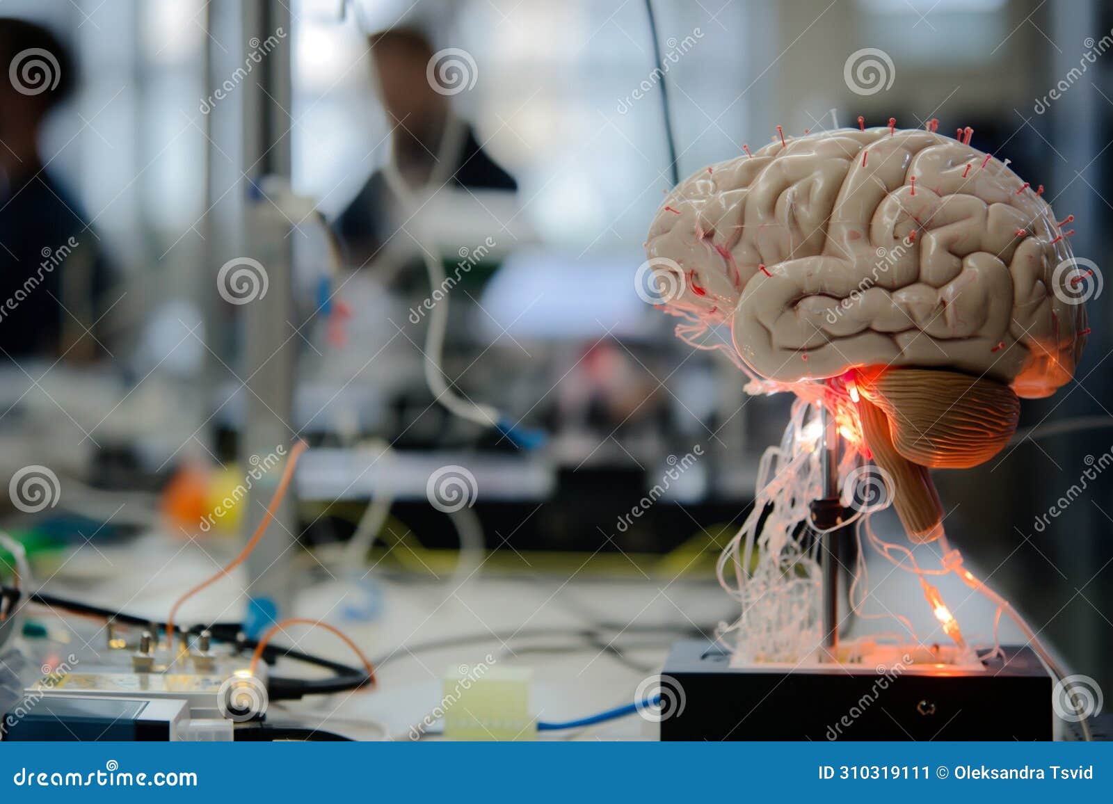 Human Hand Holding Brain Symbiol, Study of Brain Activity Stock Image ...