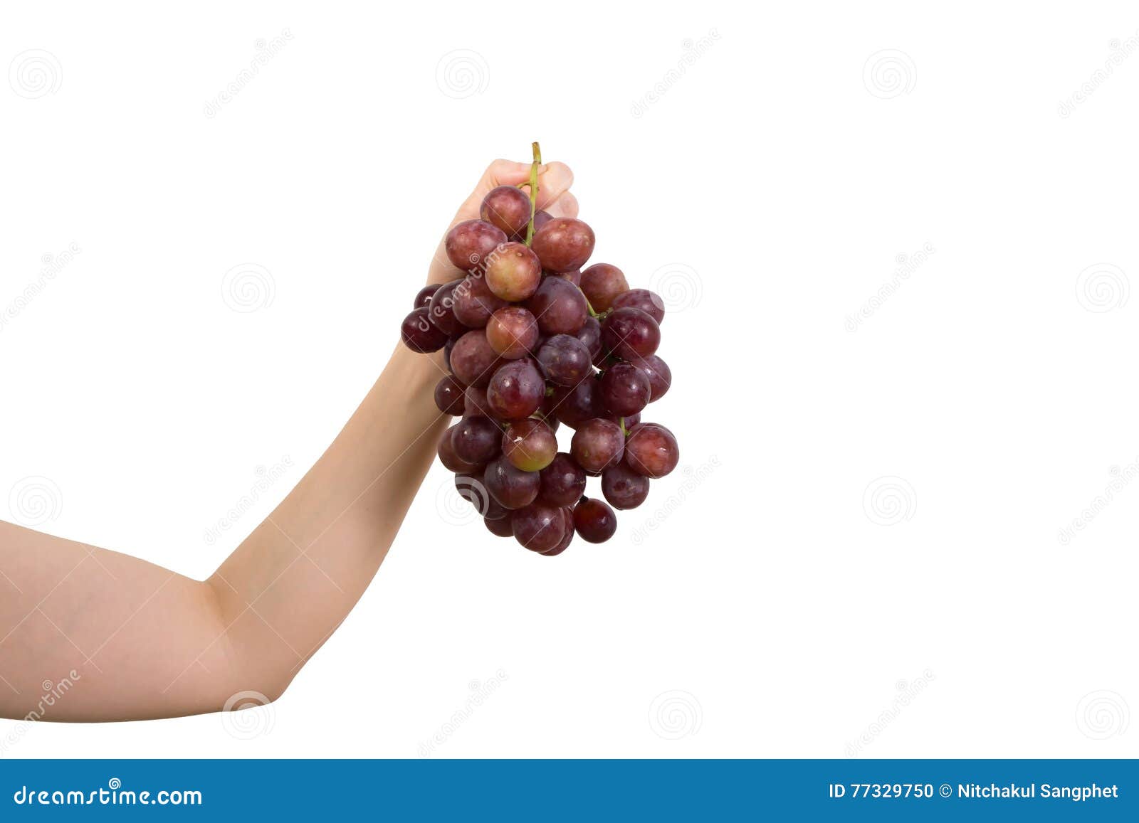 Human Hand Holding Bunch of Grape. Stock Photo - Image of violet, care ...