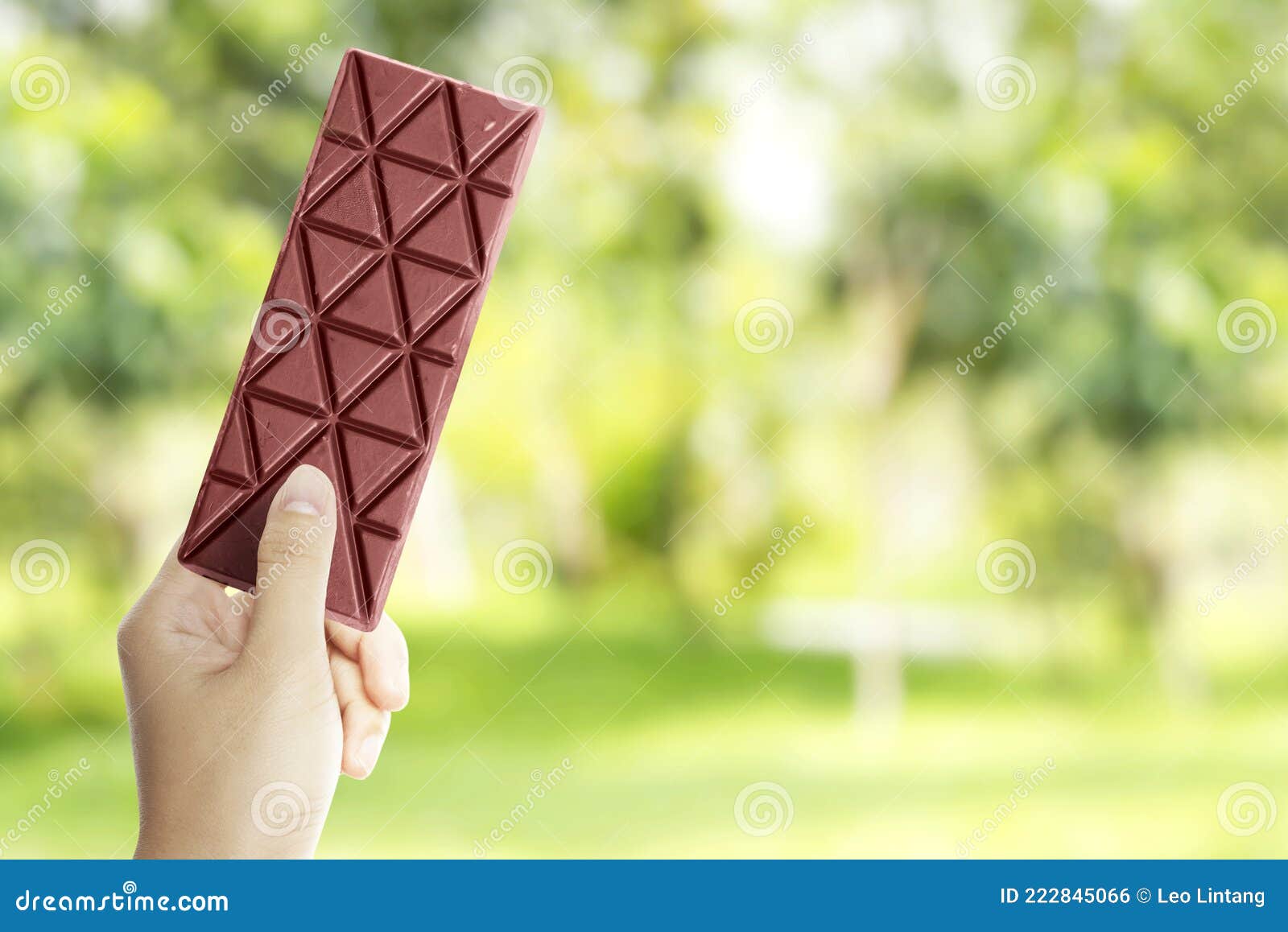 Human Hand Holding the Chocolate Bar Stock Photo - Image of delicious ...