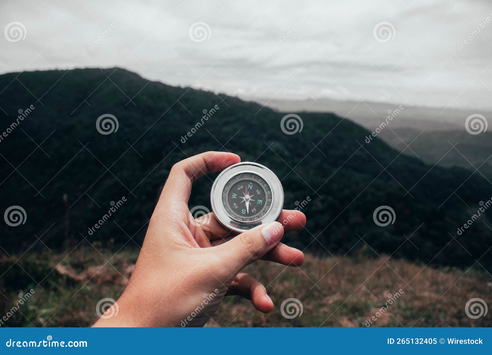 Human Hand Holding Compass in Background of Forest Stock Image - Image ...