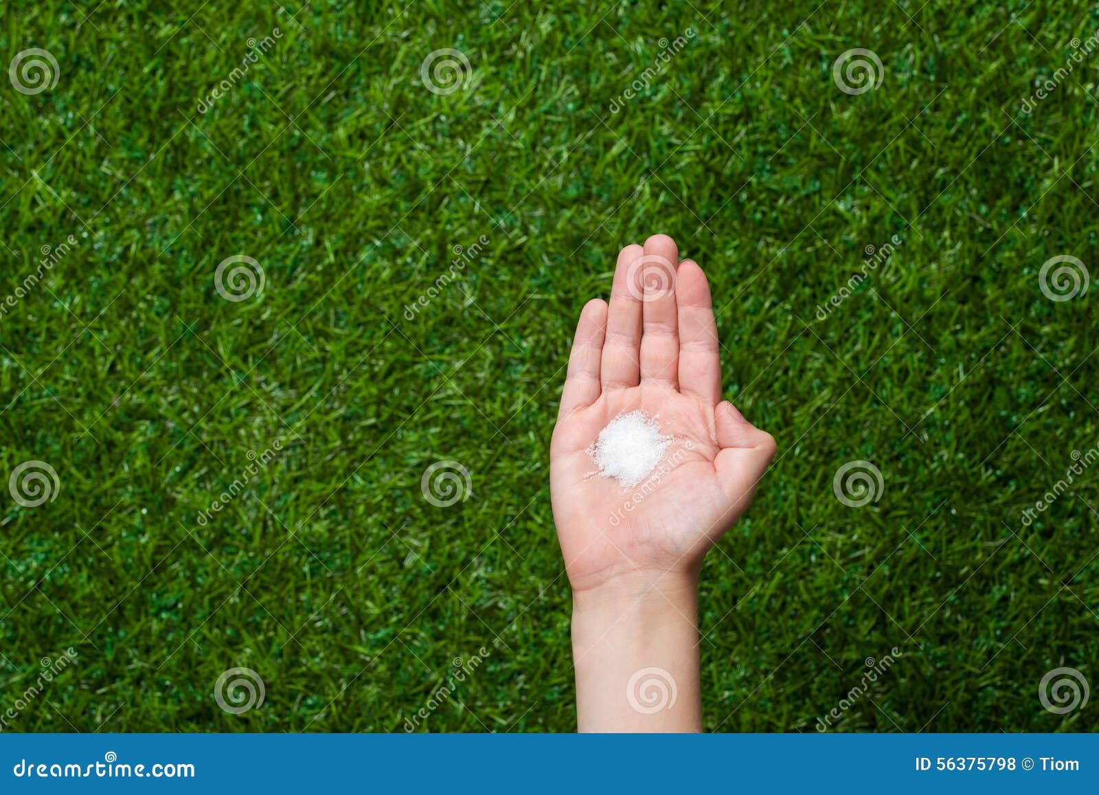 Human Hand Holding Crystal Sugar Stock Photo - Image of food, hold ...