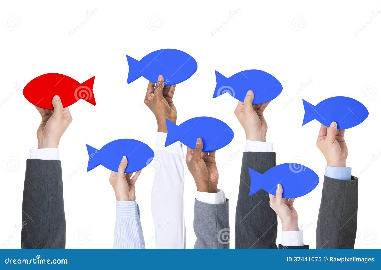 Human Hand Holding Fish Symbol Stock Image - Image of arms ...