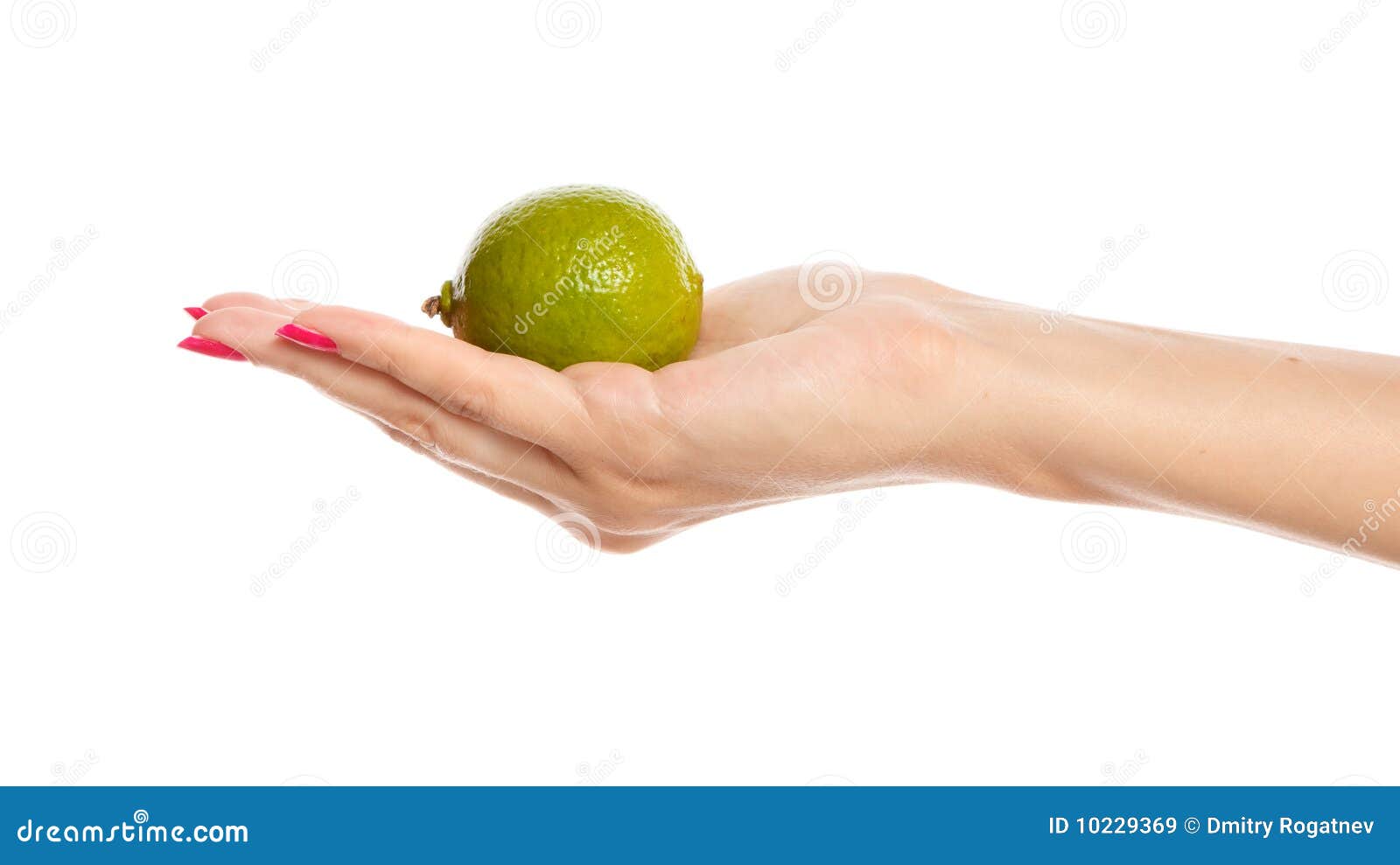 194 Human Hand Holding Green Lime Photos - Free & Royalty-Free Stock ...