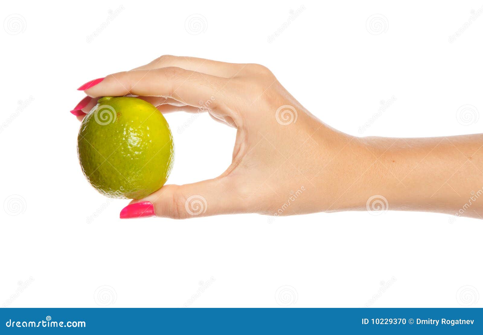 Human Hand Holding Green Lime Stock Photo - Image of palm, seasonal ...