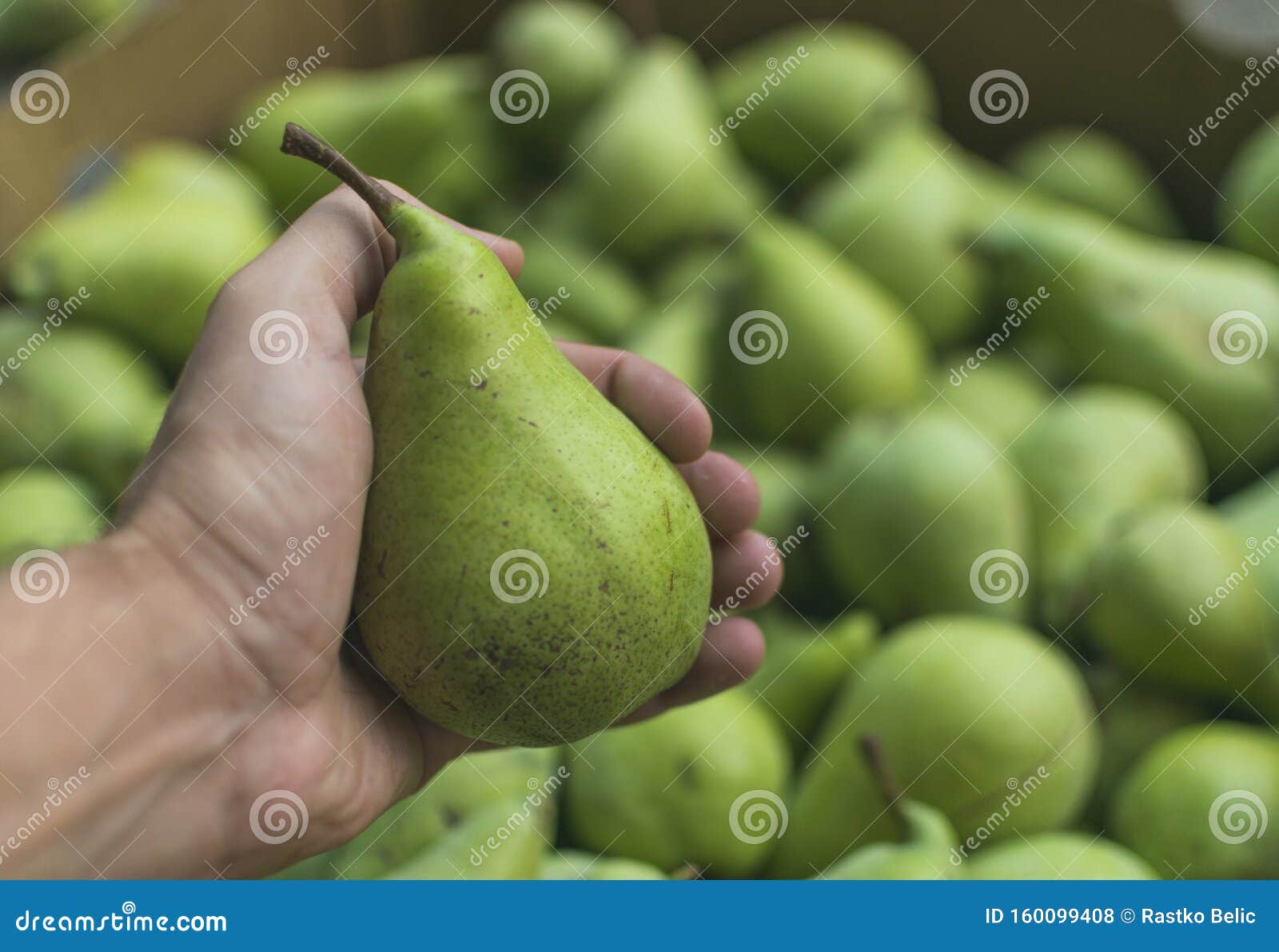 Human Hand Holding Green Pear in Front of Box Full of Pears after ...
