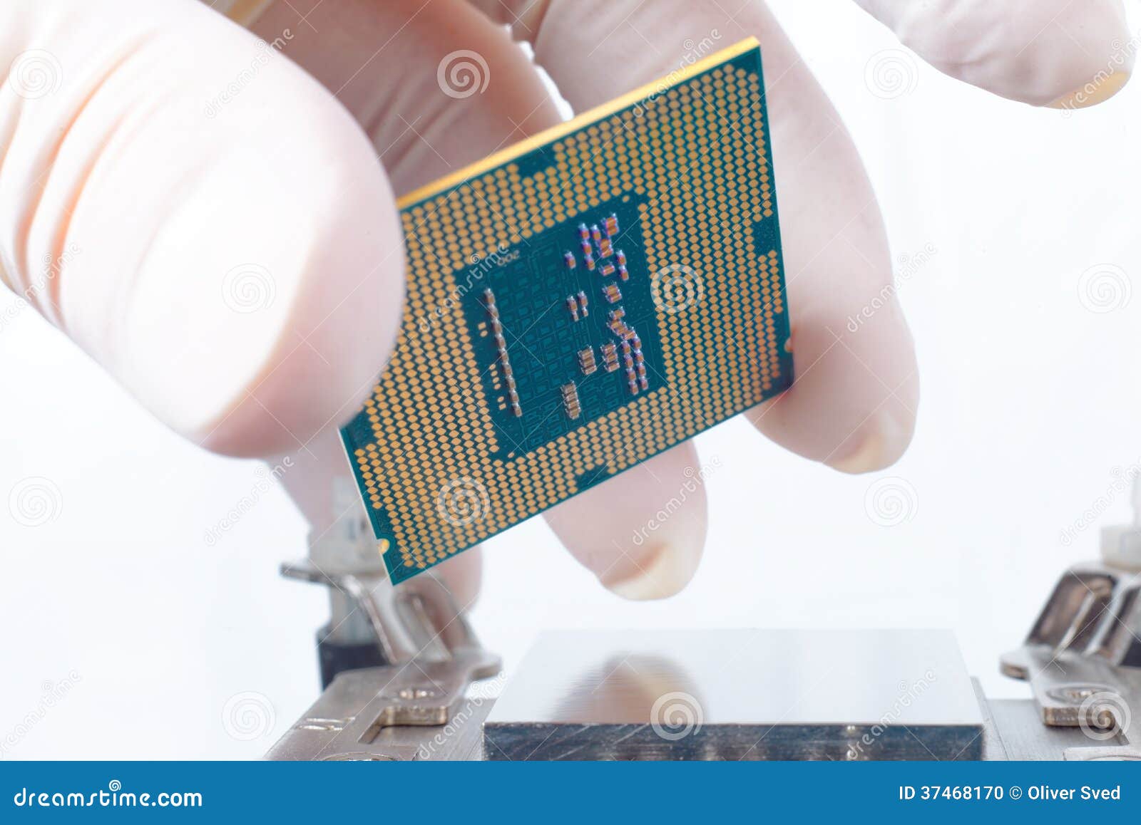 Human Hand Holding Modern Processor Stock Photo - Image of megahertz ...