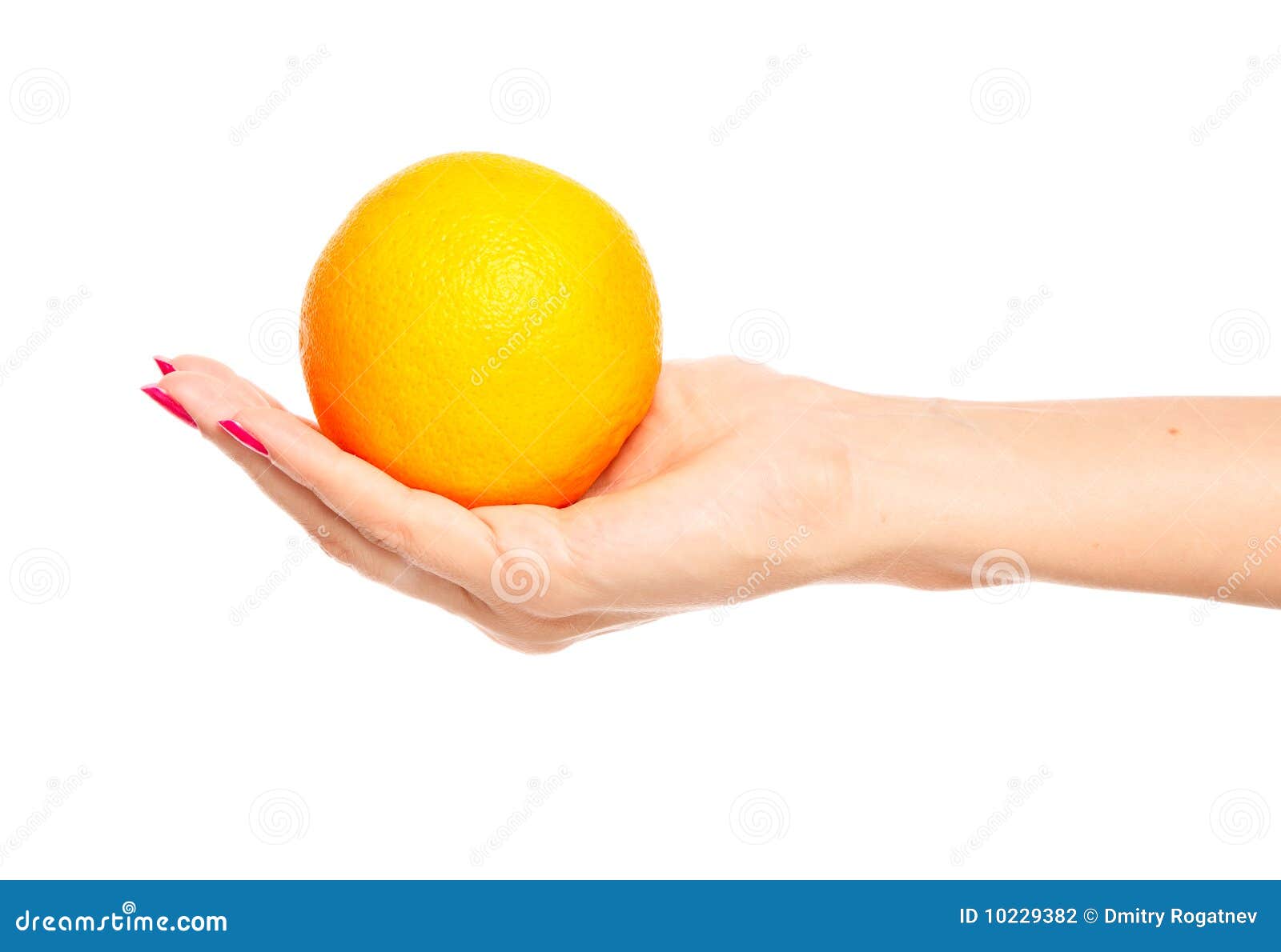 Human hand holding orange stock photo. Image of orange - 10229382