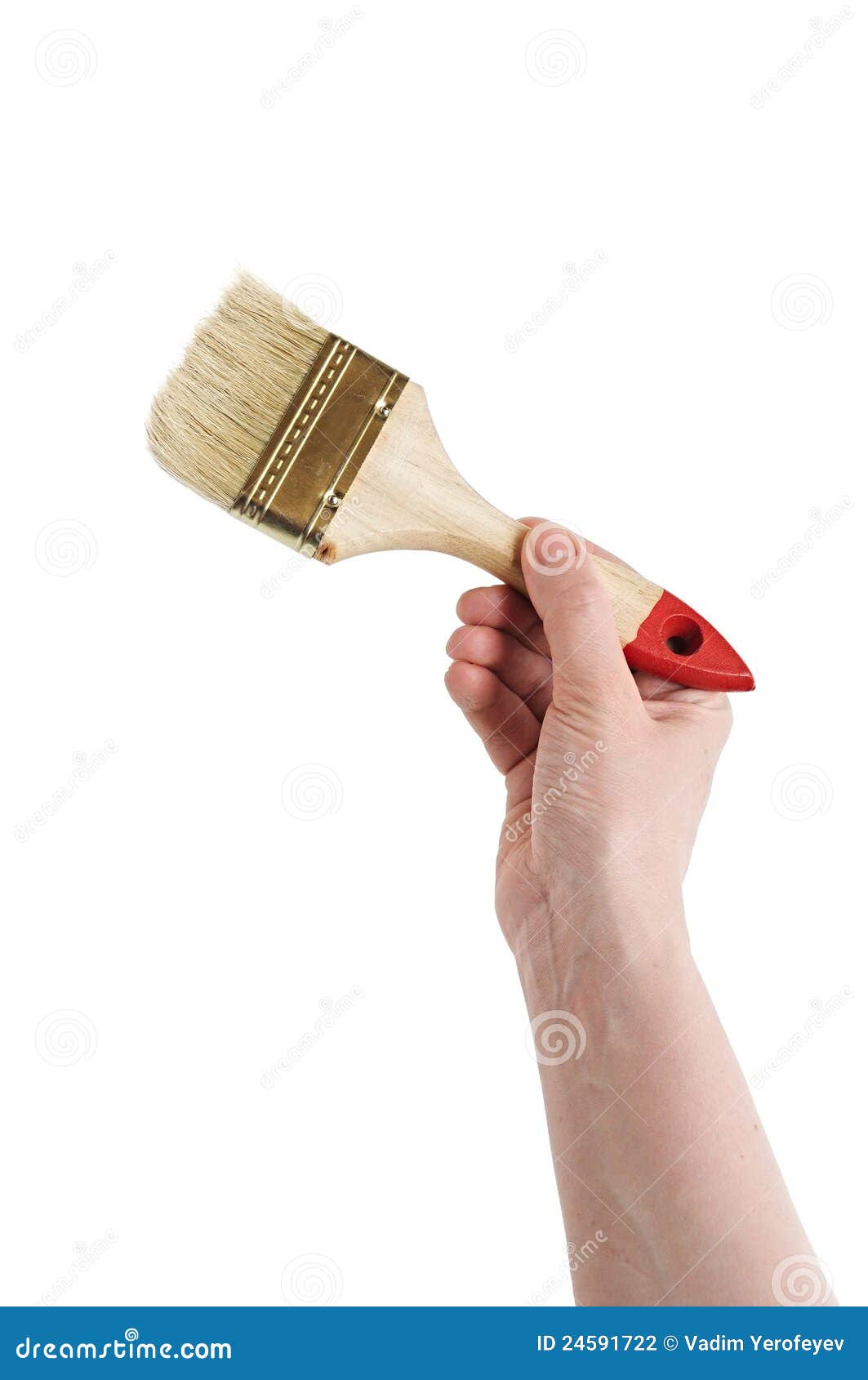 Human Hand is Holding Paintbrush Stock Photo - Image of paint, white ...
