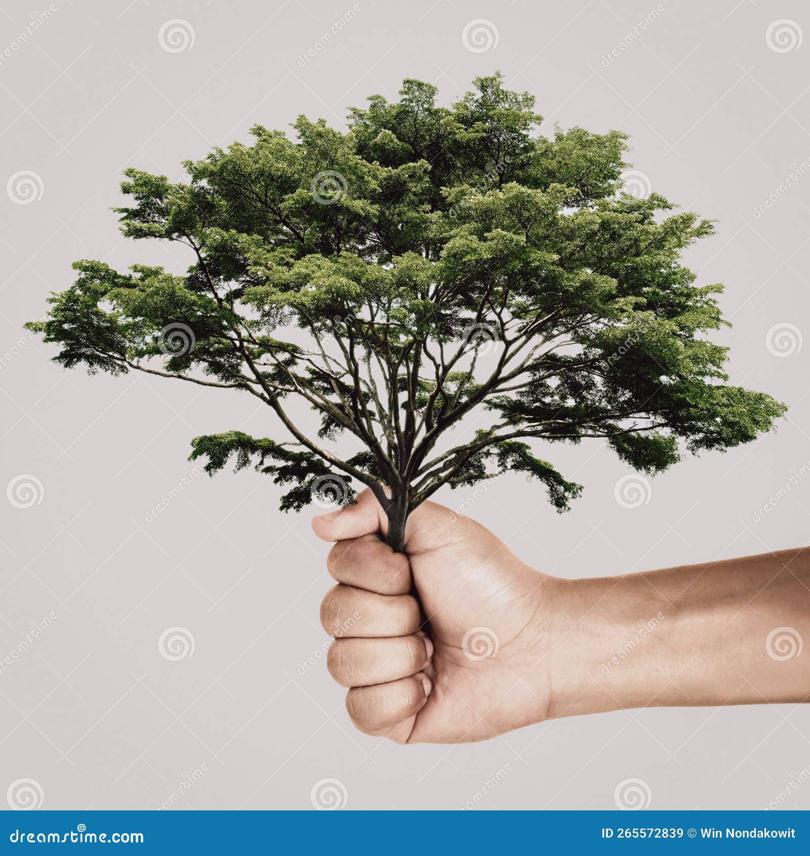 Big Tree Preservation Concept Stock Image - Image of branch, growth ...