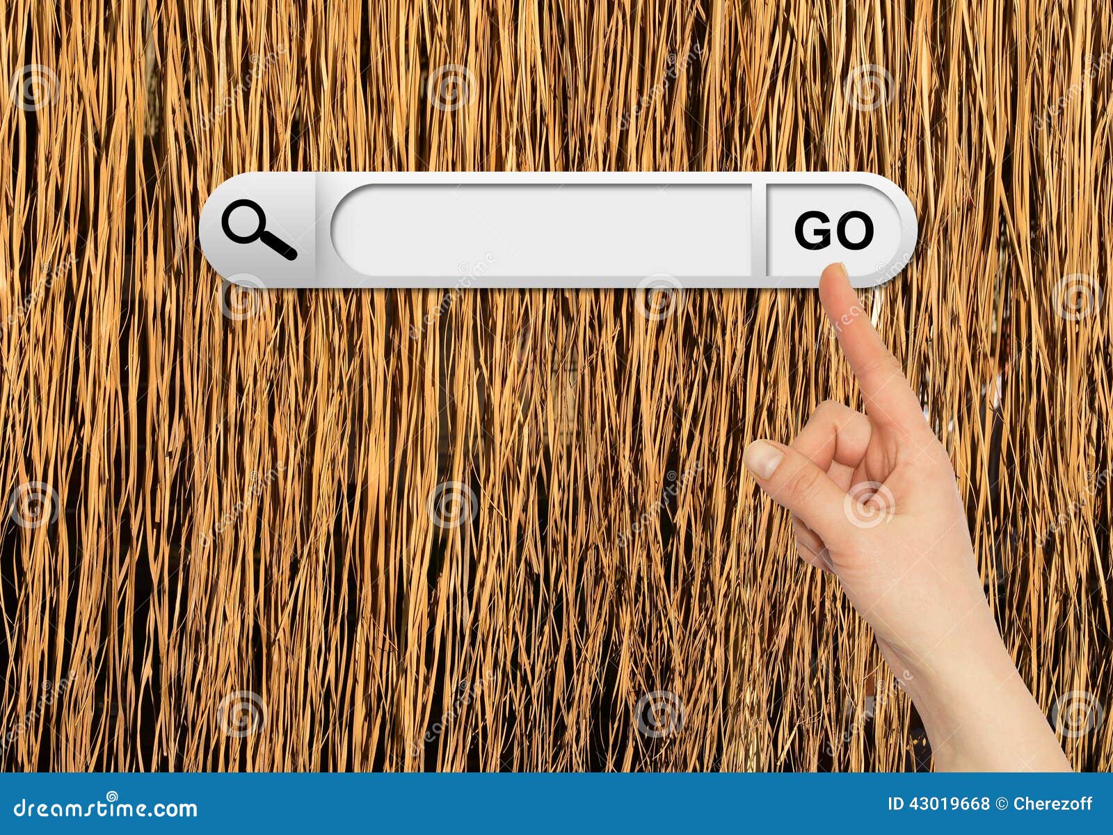 Human Hand Indicates the Search Bar in Browser Stock Photo - Image of ...
