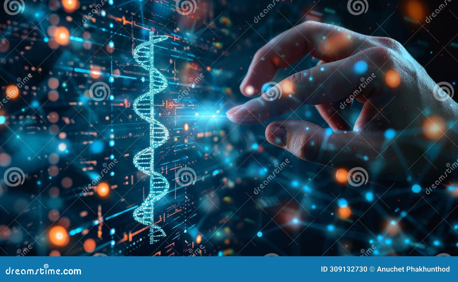 Human Hand Interacting with Digital DNA Helix Stock Photo - Image of ...