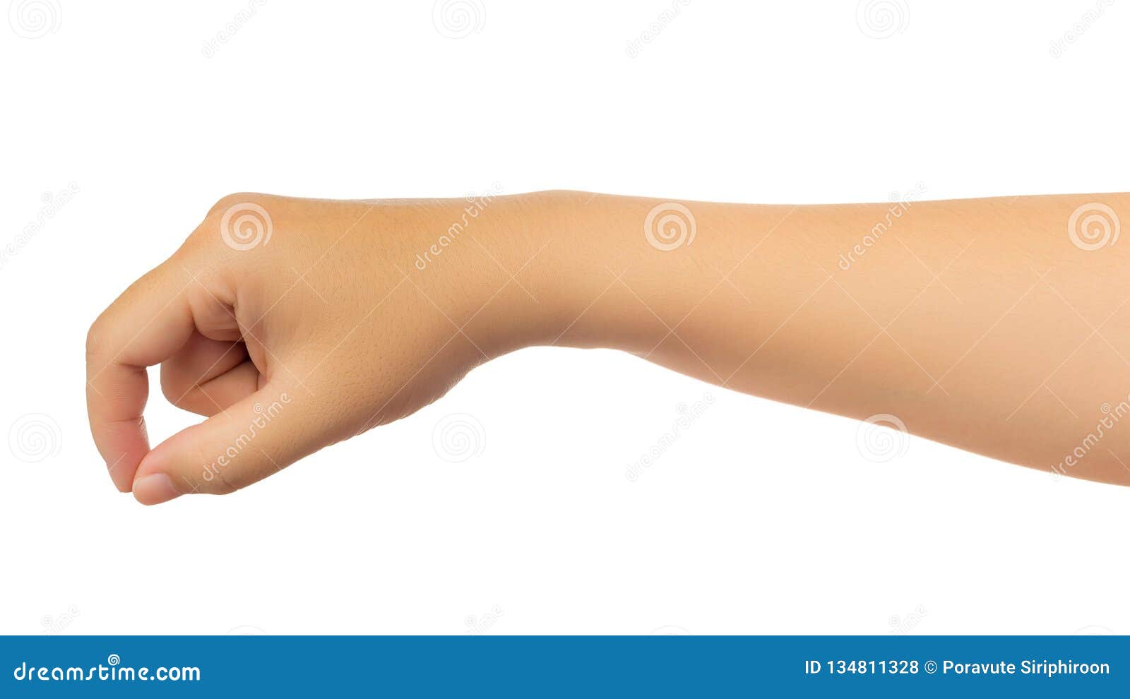 Human Hand Isolate on White Background Stock Photo - Image of isolated ...
