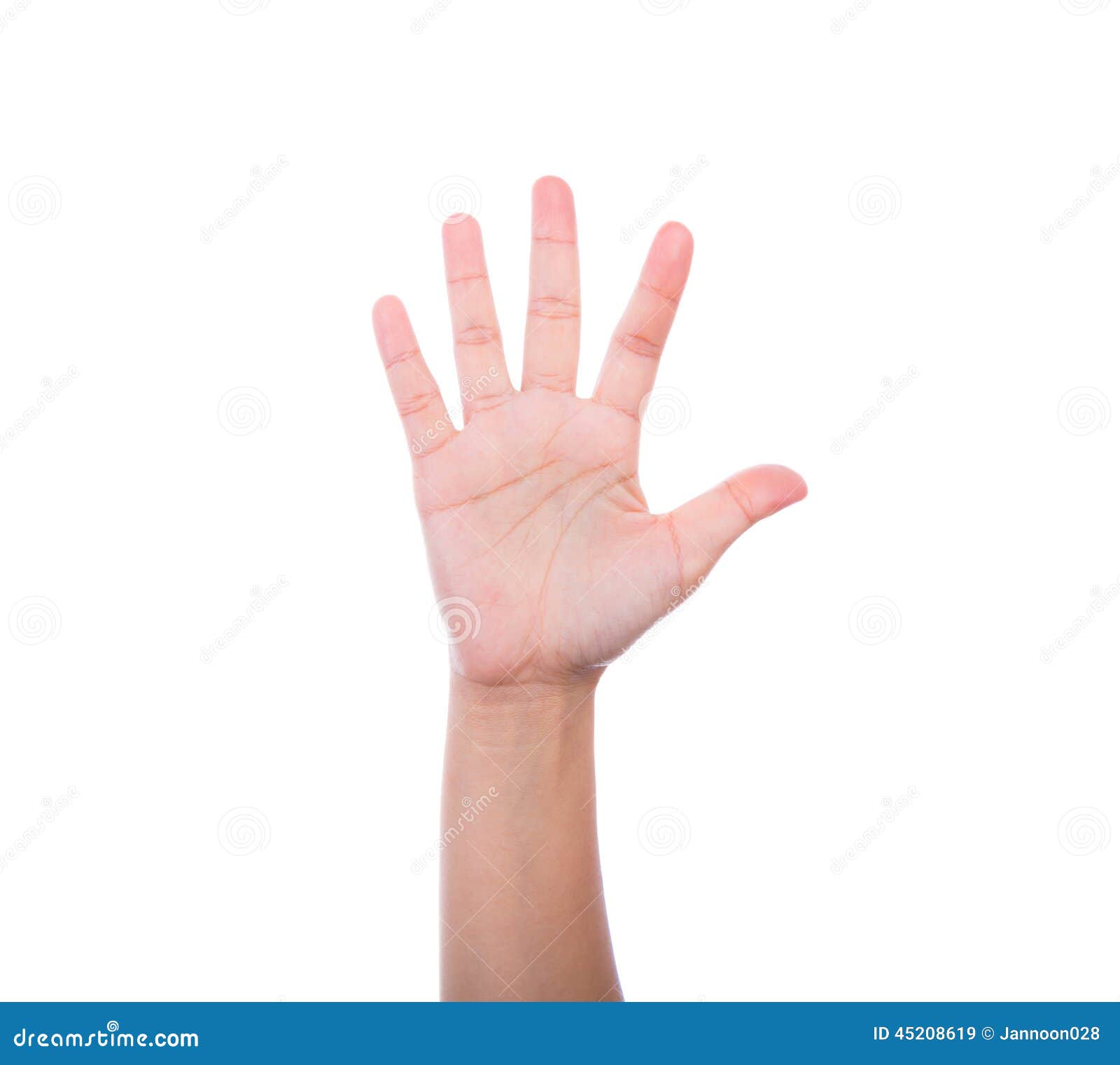 Human Hand Isolated stock image. Image of solution, number - 45208619