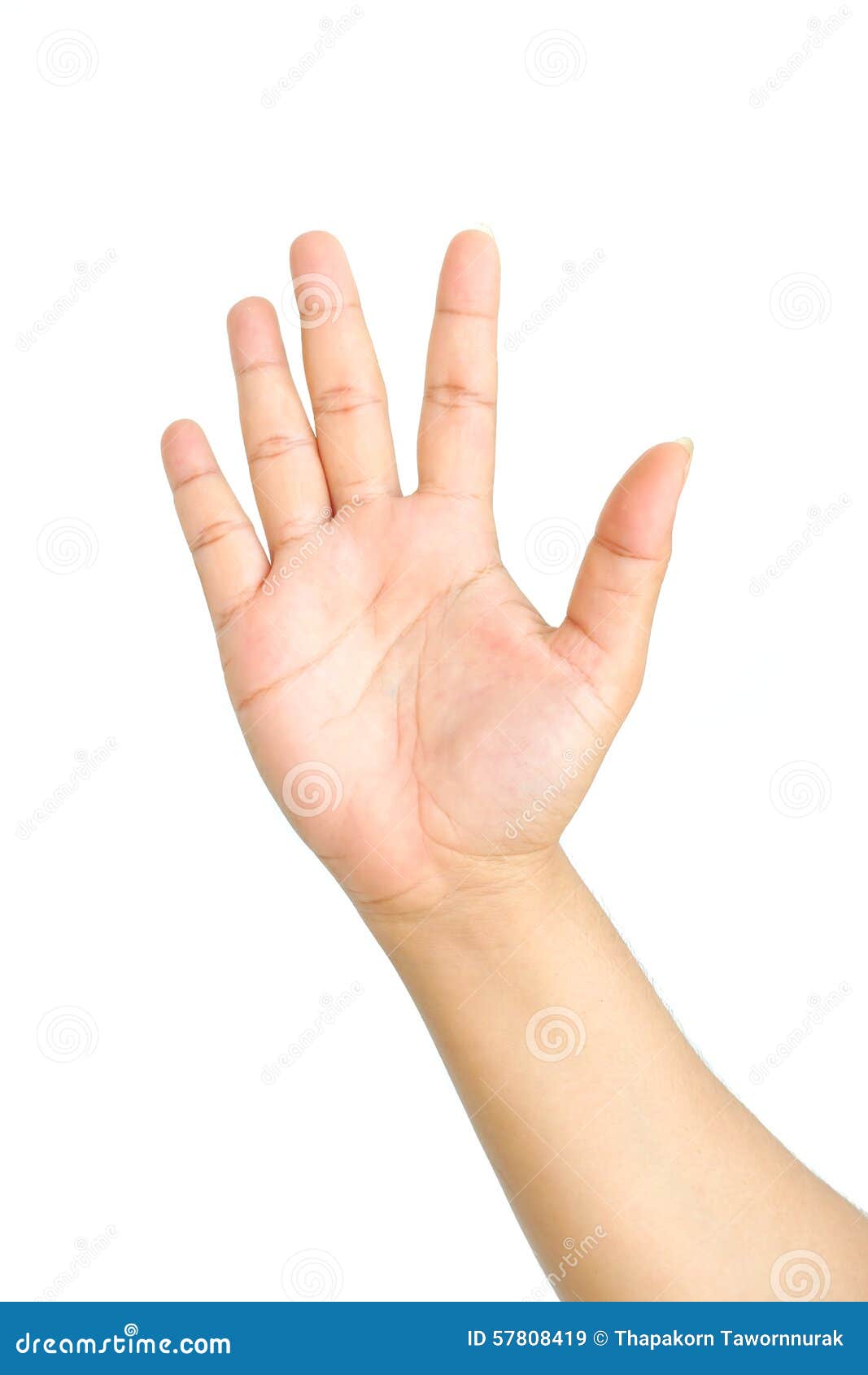 Human hand isolated stock image. Image of raised, wrist - 57808419