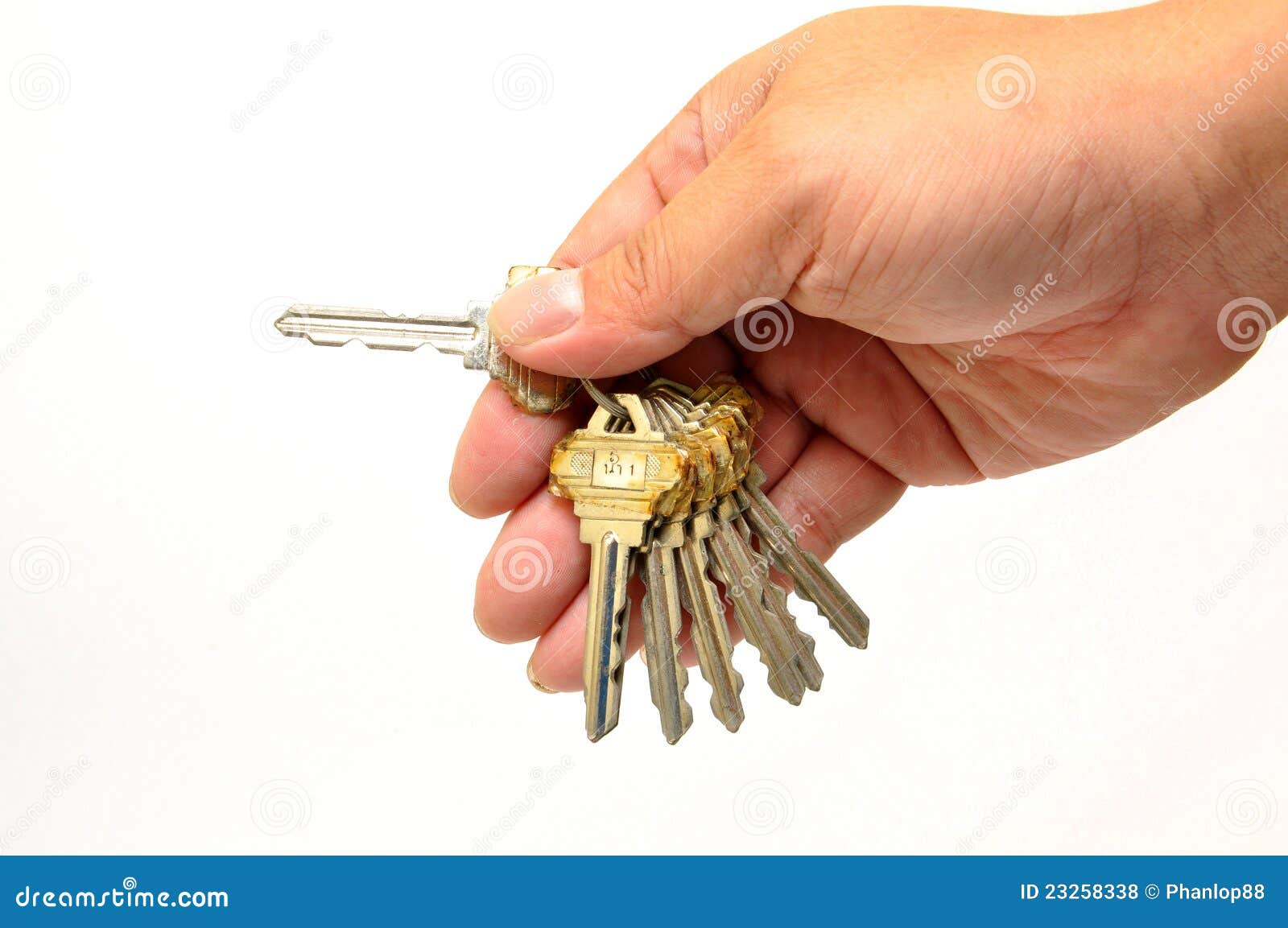 Human hand with keys stock photo. Image of hand, holding - 23258338