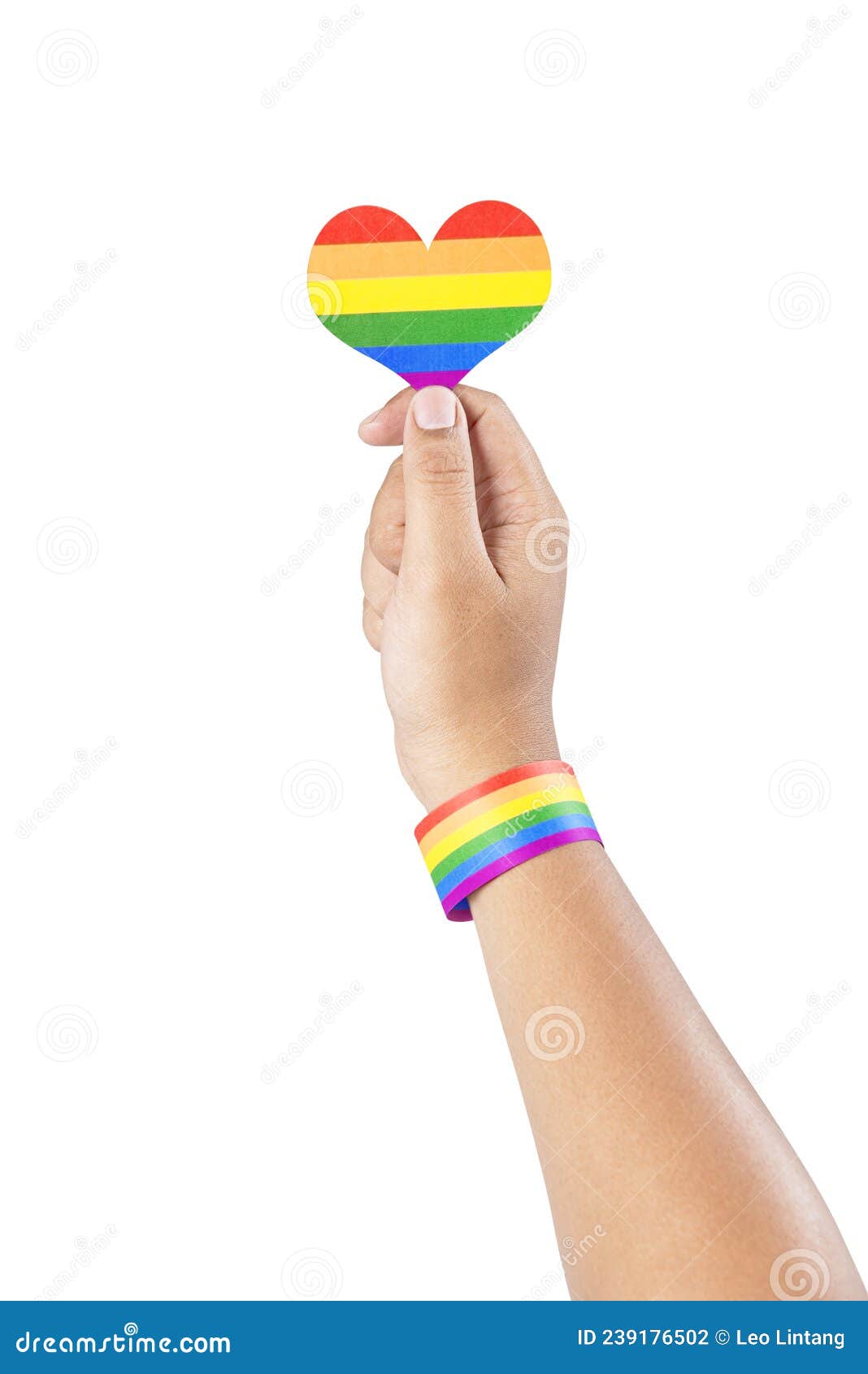 Human Hand With Lgbt Rainbow Flag Wristband Holding Rainbow Heart Stock