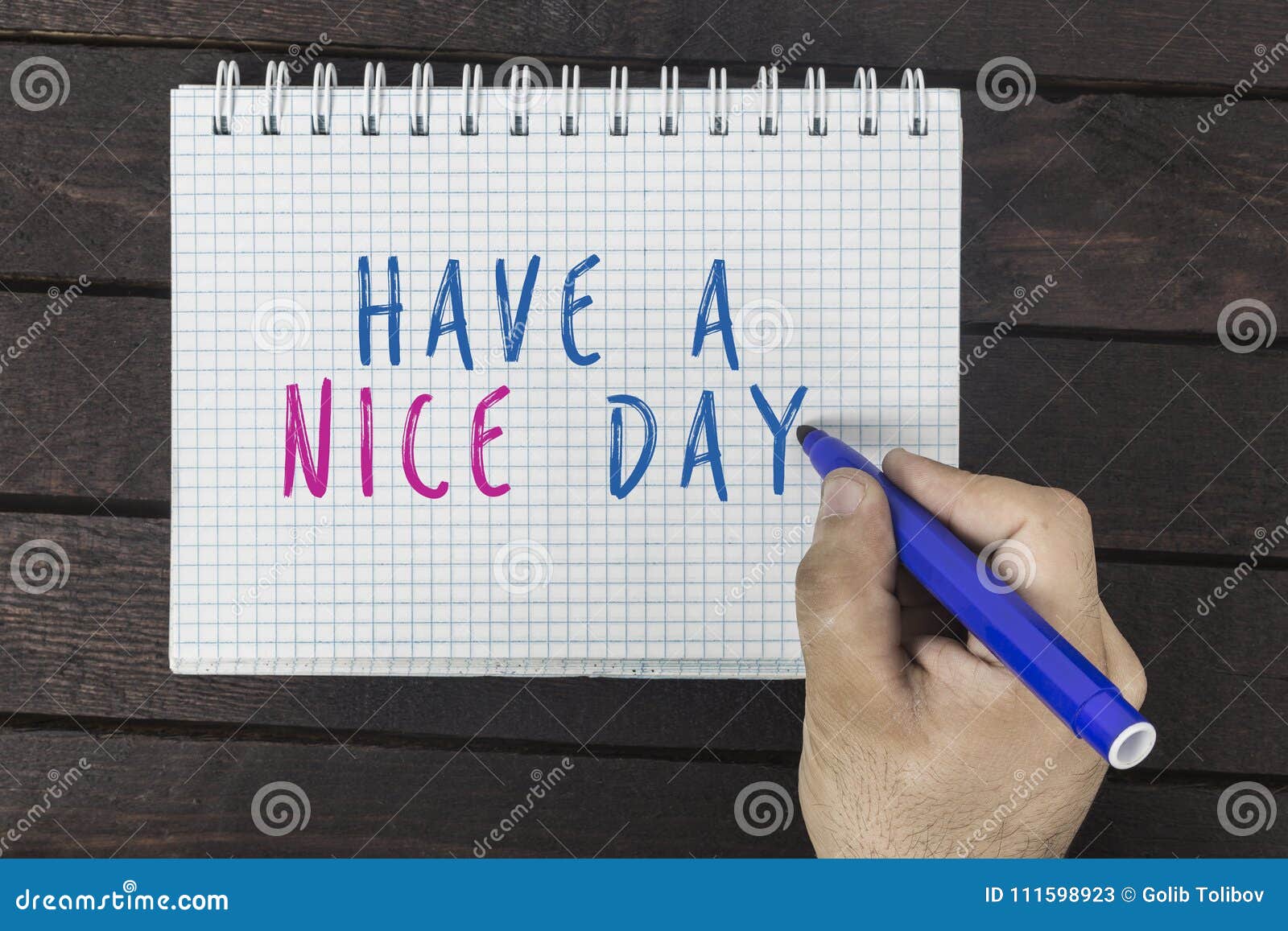 Human Hand with Marker Writing Text on Notepad: Have a Nice Day Stock ...