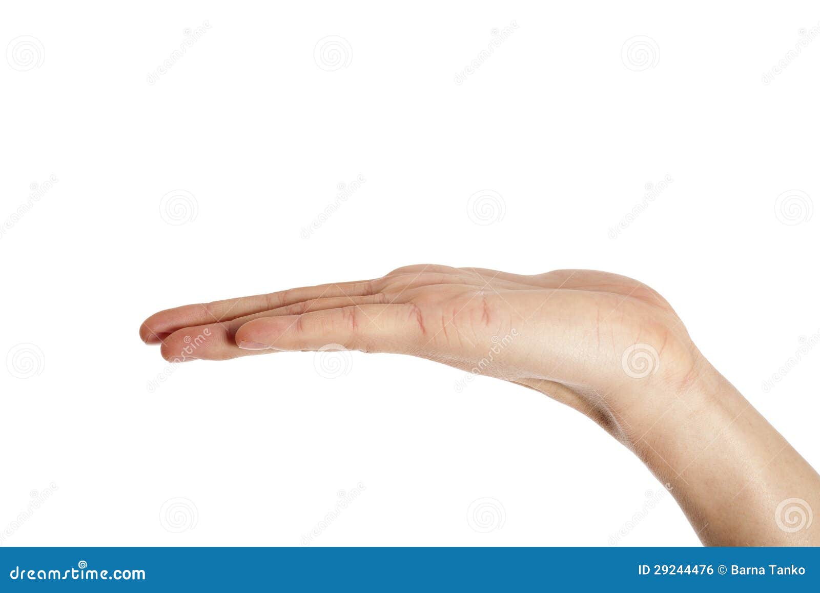 Human hand palm facing up stock photo. Image of white - 29244476 Human hand palm facing up stock photo. Image of white - 29244476