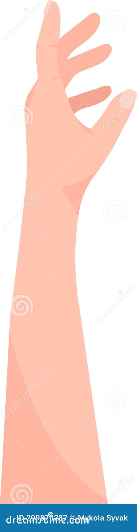 Human Hand Palm stock illustration. Illustration of vector - 299870287