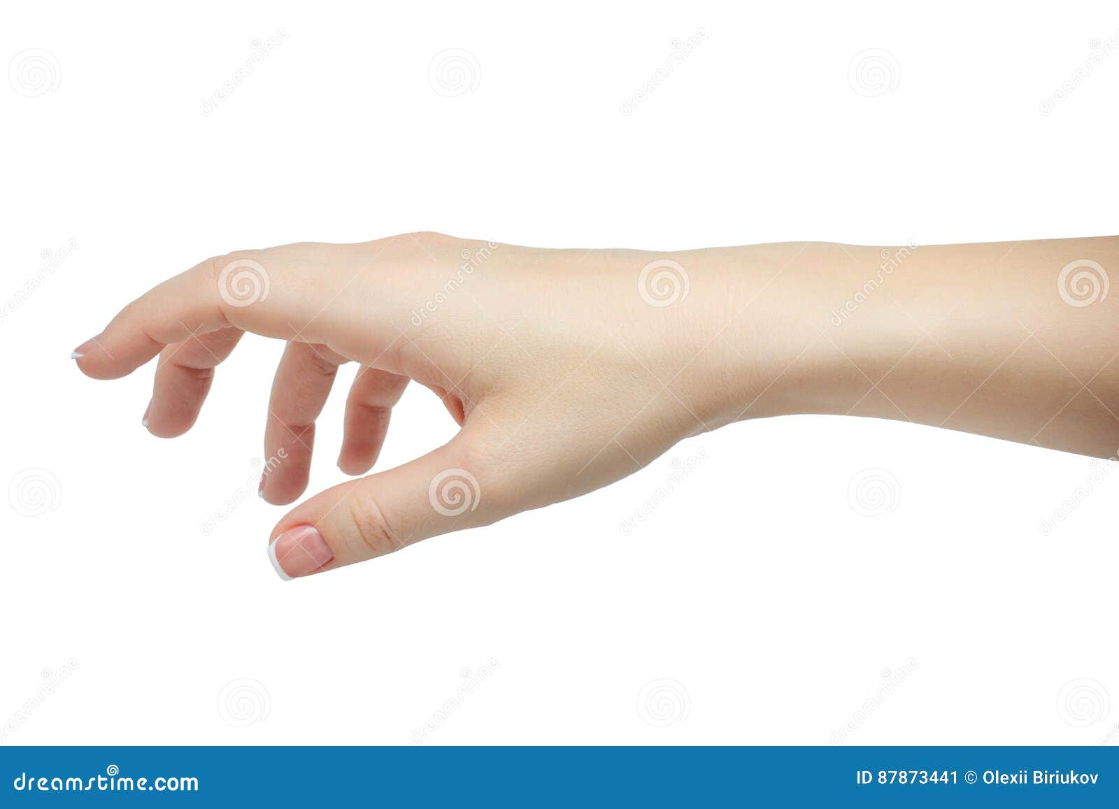 Human Hand in Picking or Giving Gesture Isolate on White Background ...