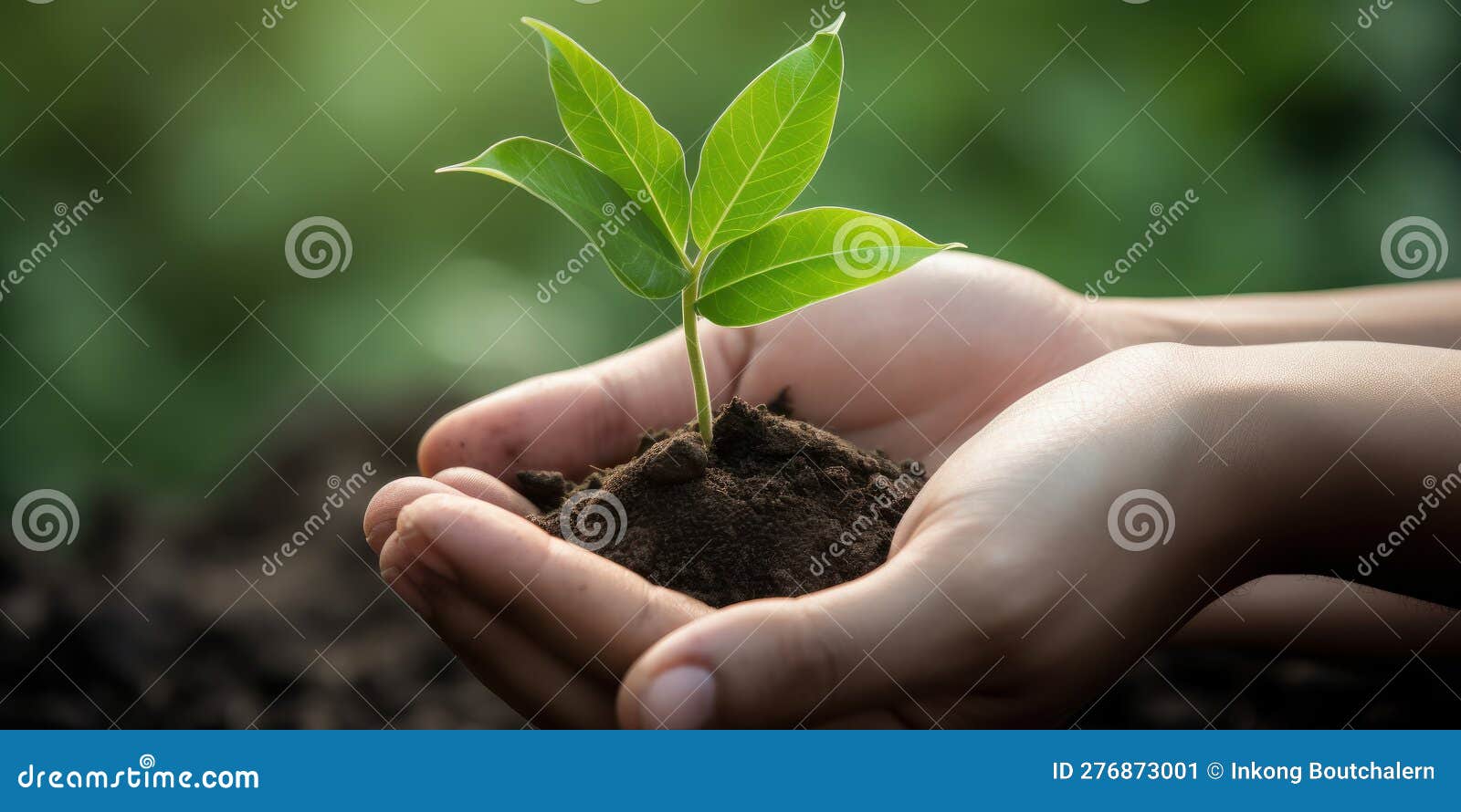 Human Hand Planting a Tree, World Environment Day Concept. Generative ...