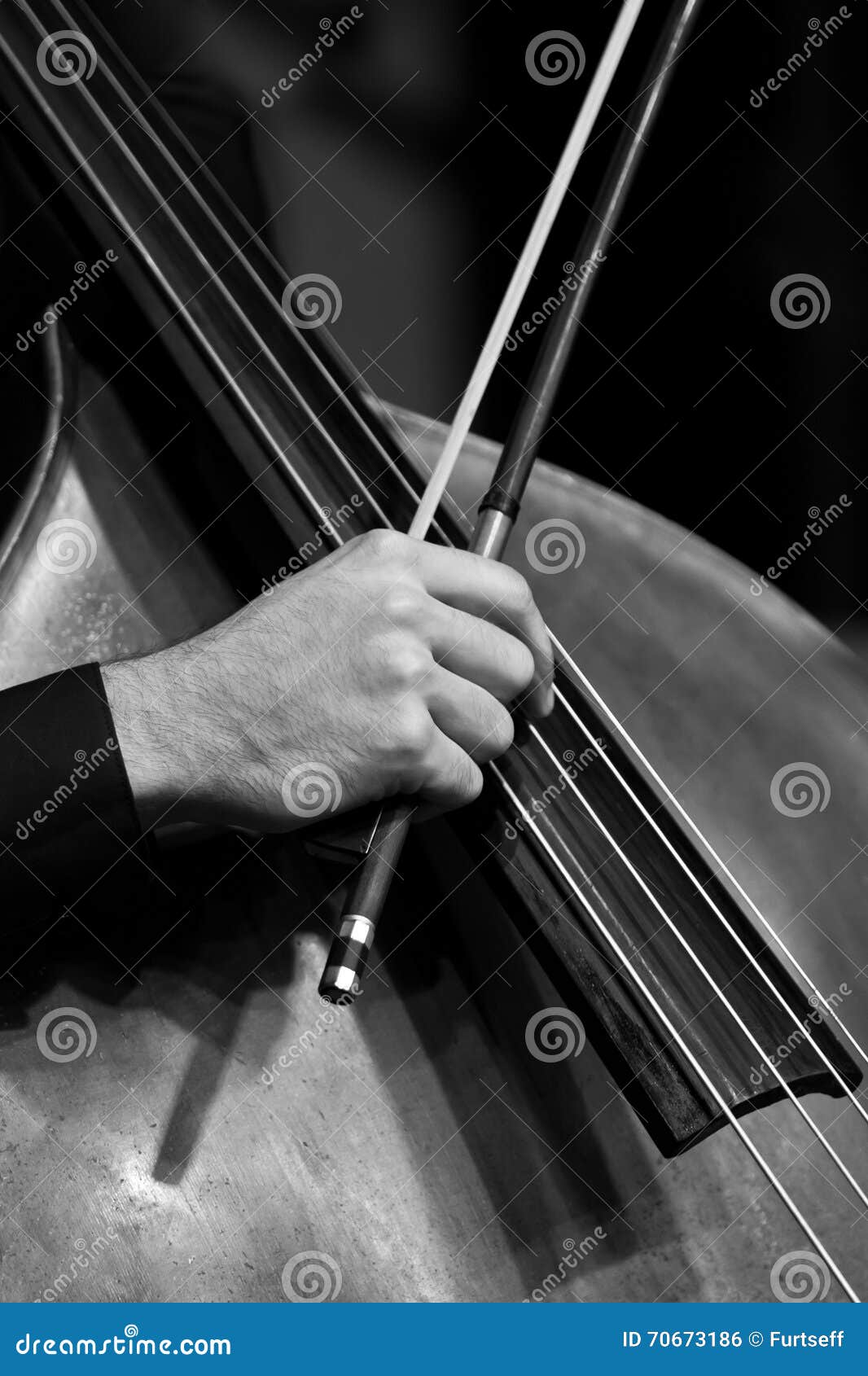 Human Hand Playing the Contrabass Stock Photo - Image of play, music ...