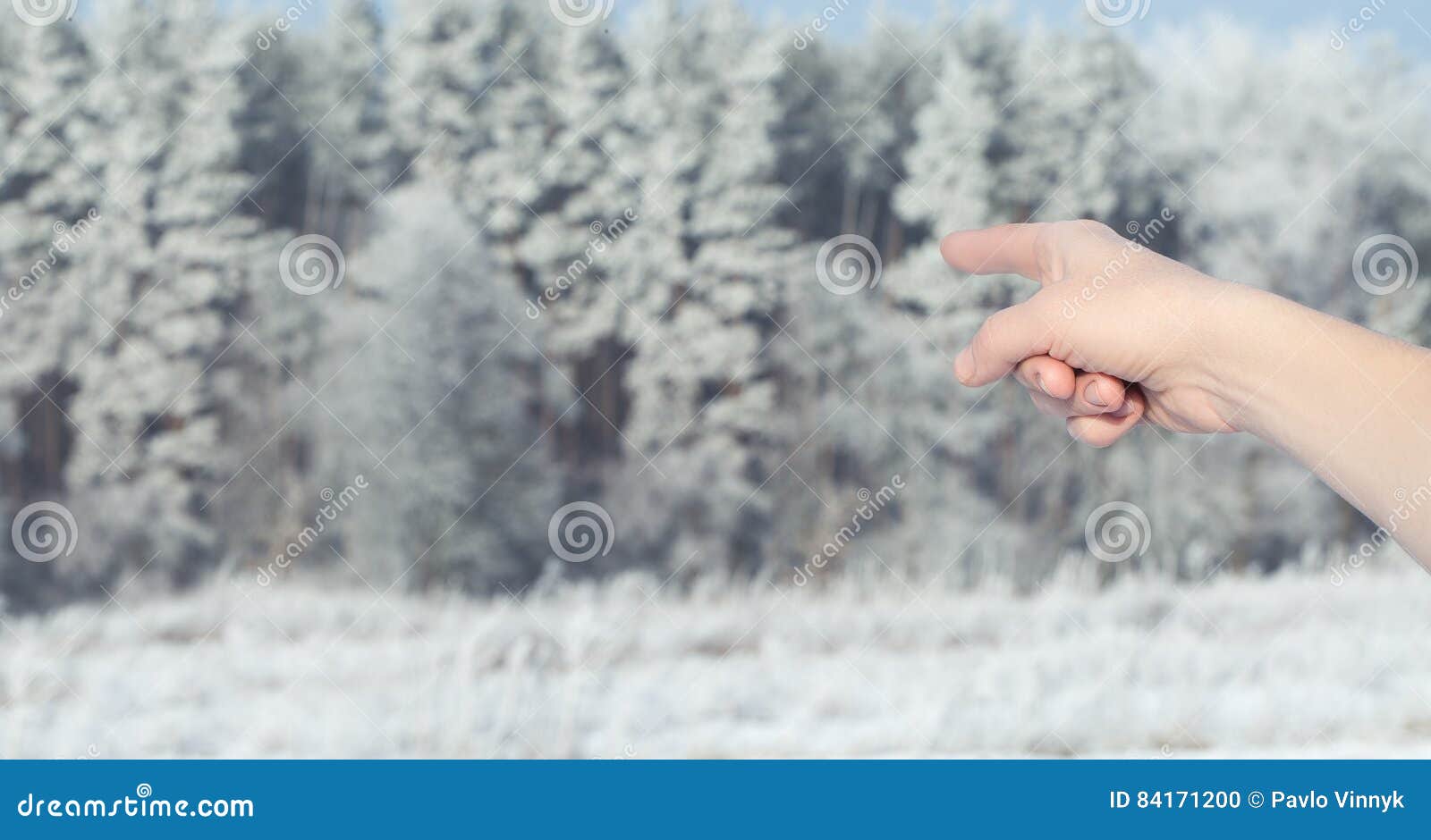 Human Hand Point with Finger Snowy Winter Forest Stock Photo - Image of ...