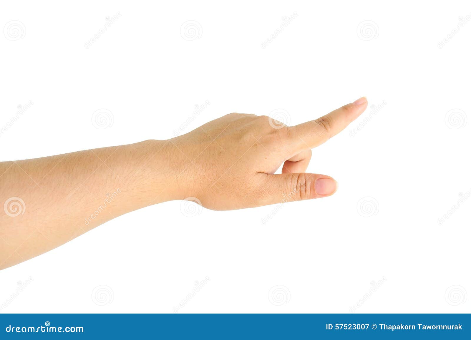 Human Hand Point Something Isolated Stock Image - Image of ...