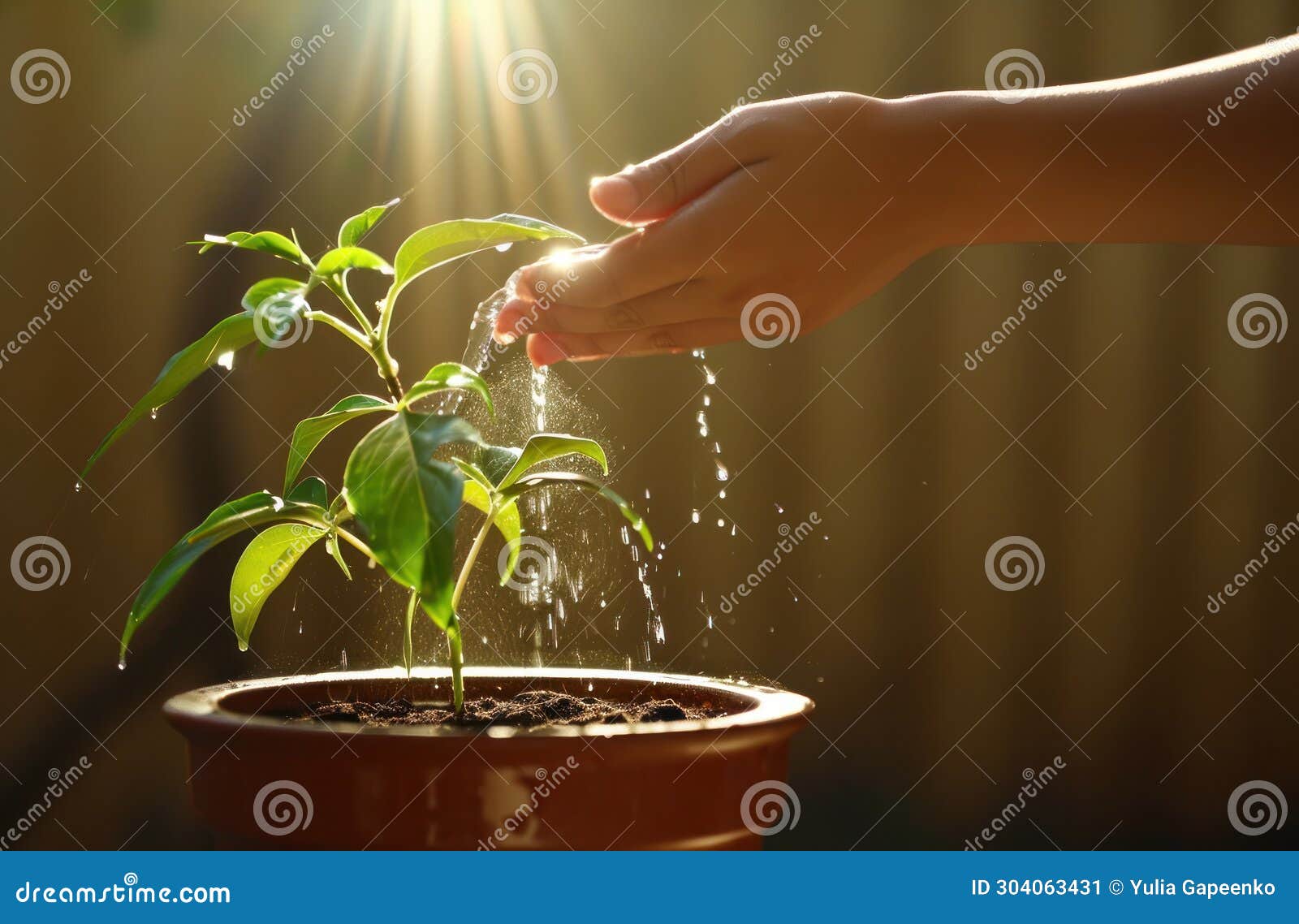 Human Hand Pouring Water into a Potted Plant Stock Illustration ...